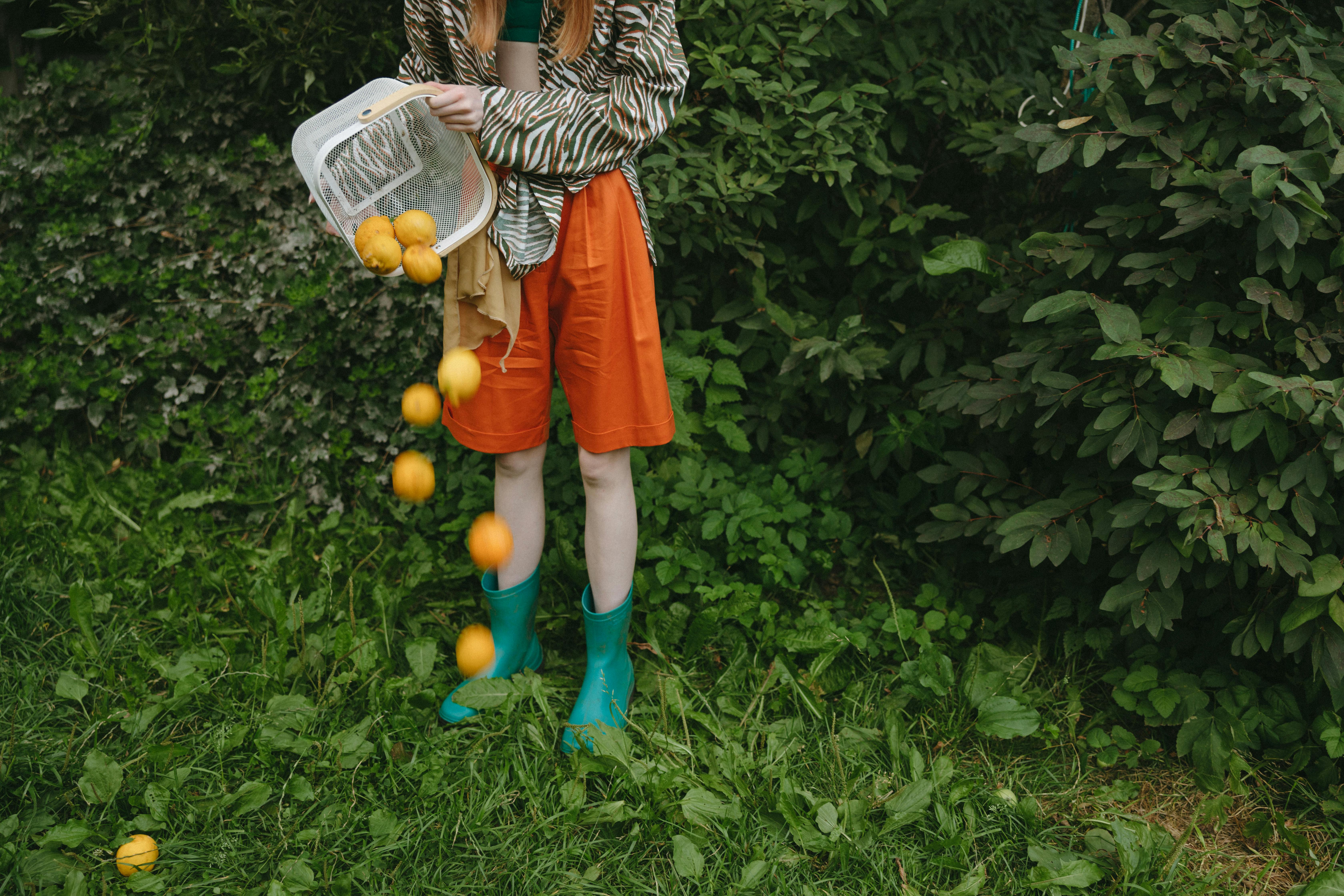 Throwing Lemons Photos, Download The BEST Free Throwing Lemons Stock ...