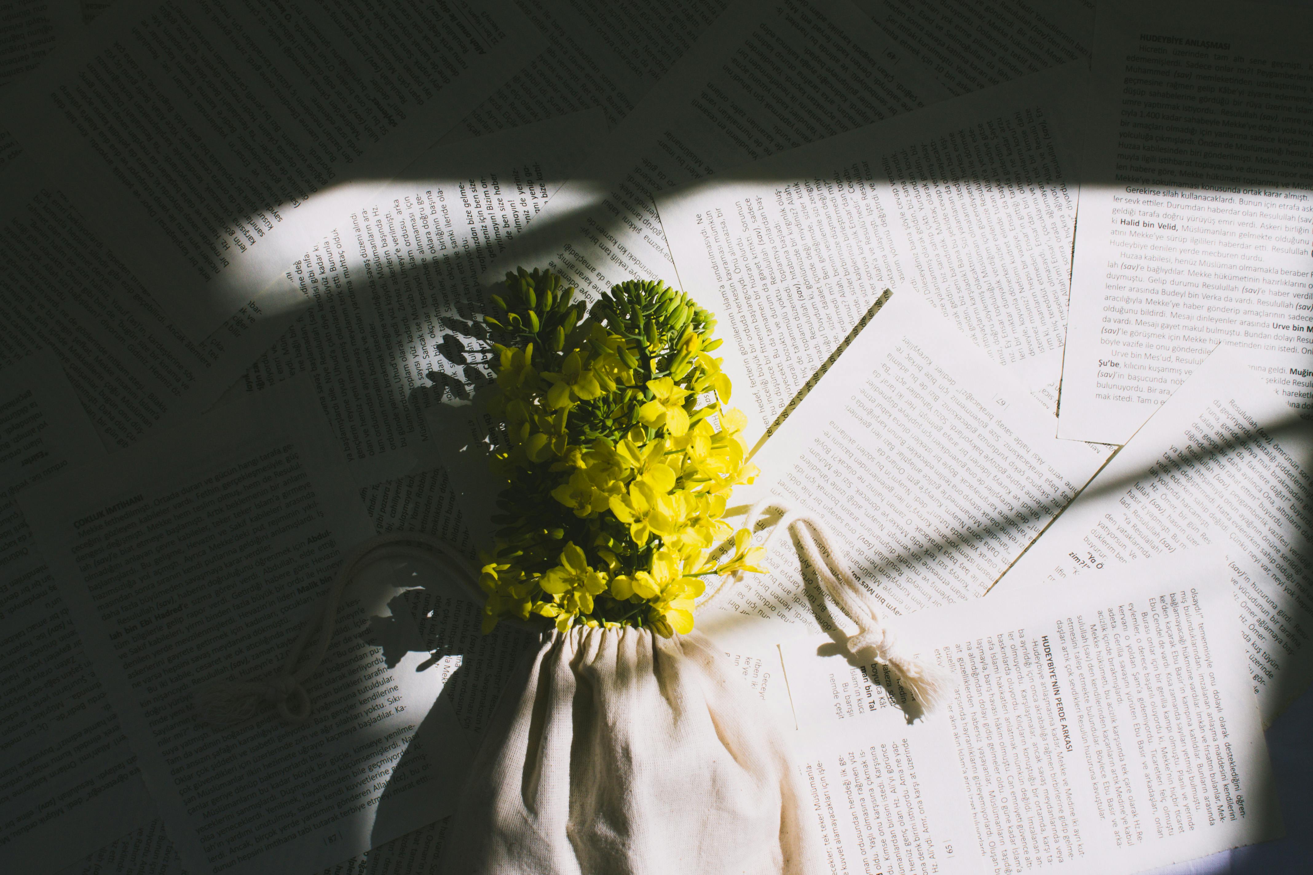 Printed Papers Photos, Download The BEST Free Printed Papers Stock ...