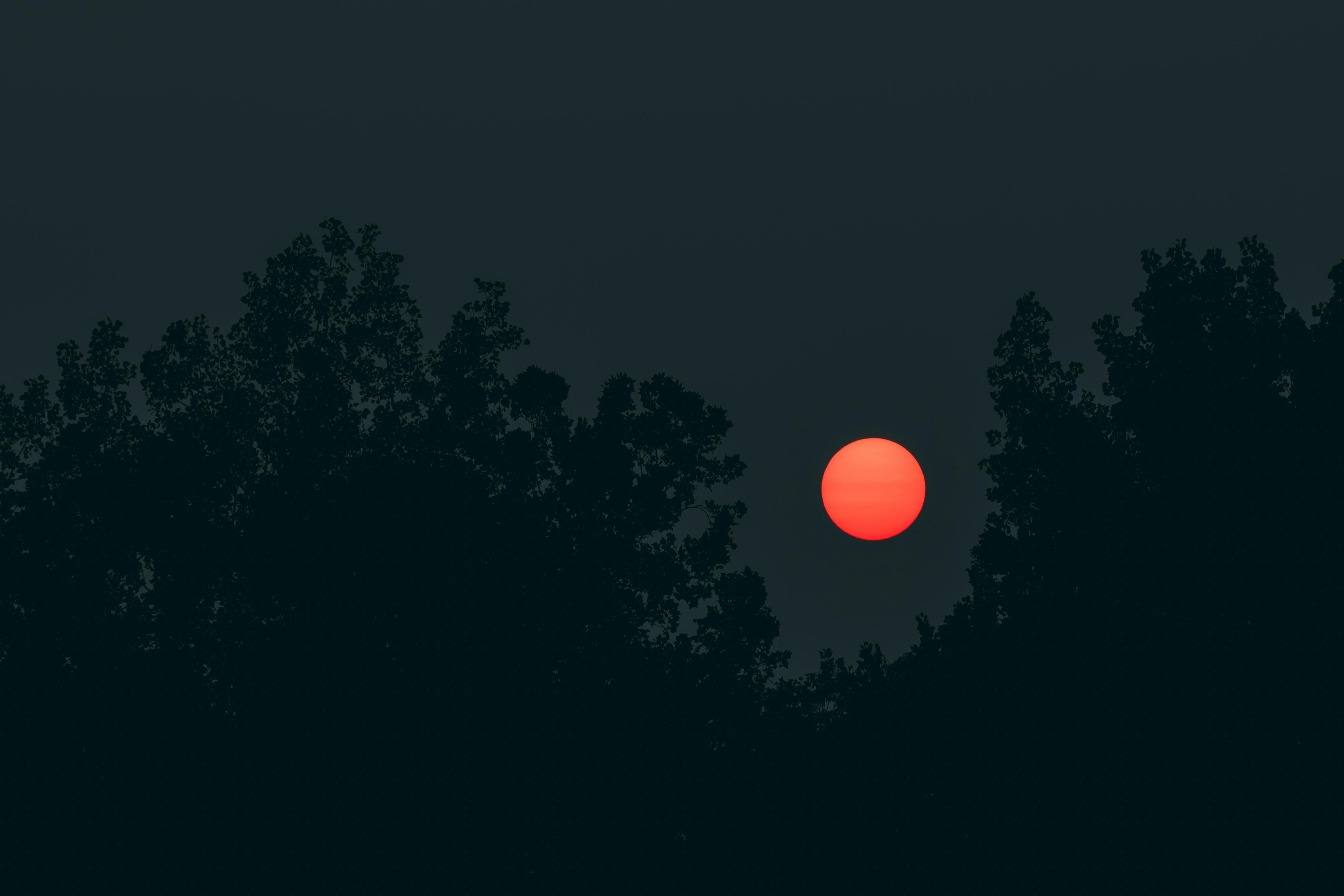 Red Moon With Trees Photos, Download The BEST Free Red Moon With Trees ...