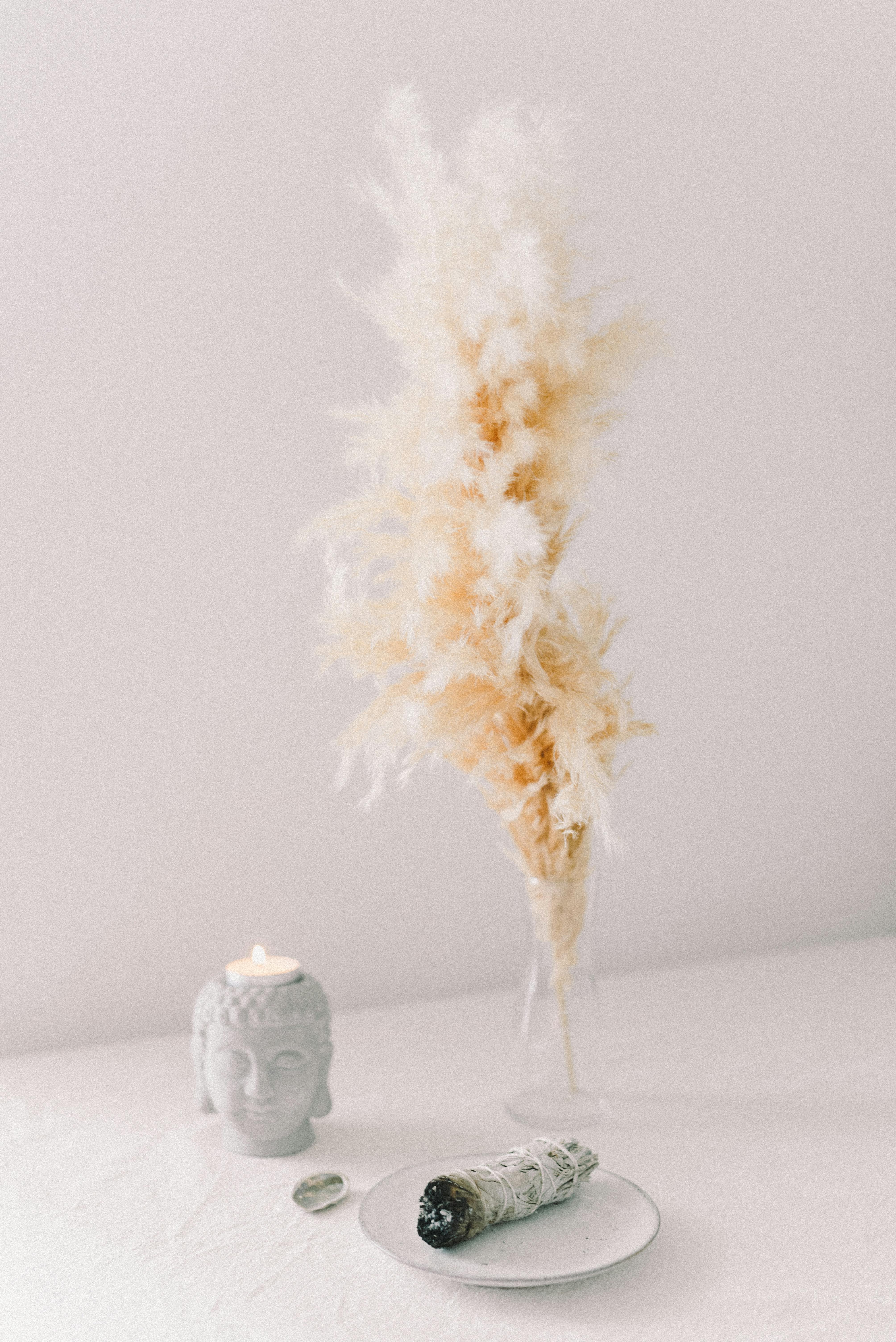 A Bundle of Sage on a Shell · Free Stock Photo