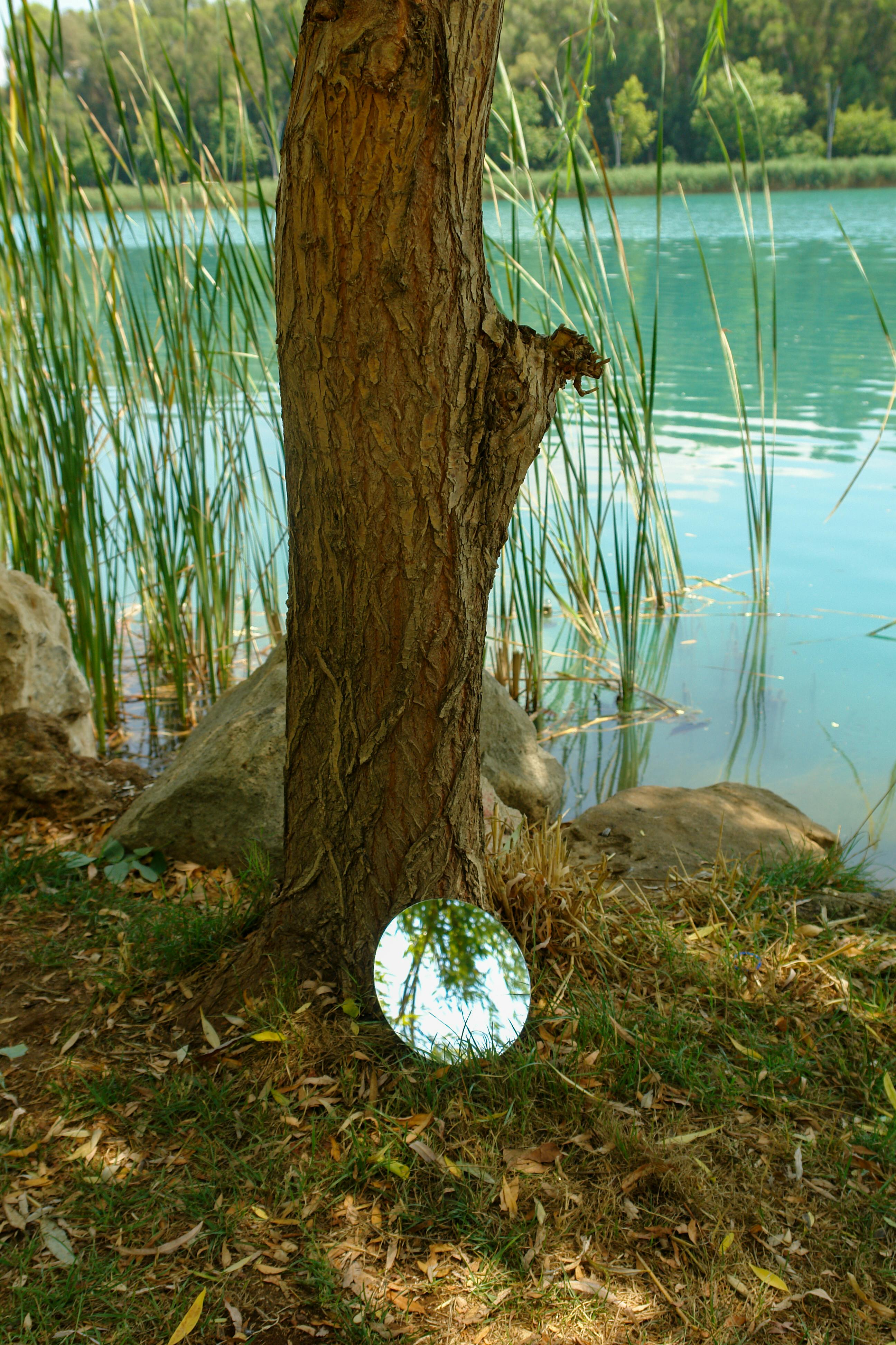 Imagem Morror Photos, Download The BEST Free Imagem Morror Stock Photos ...