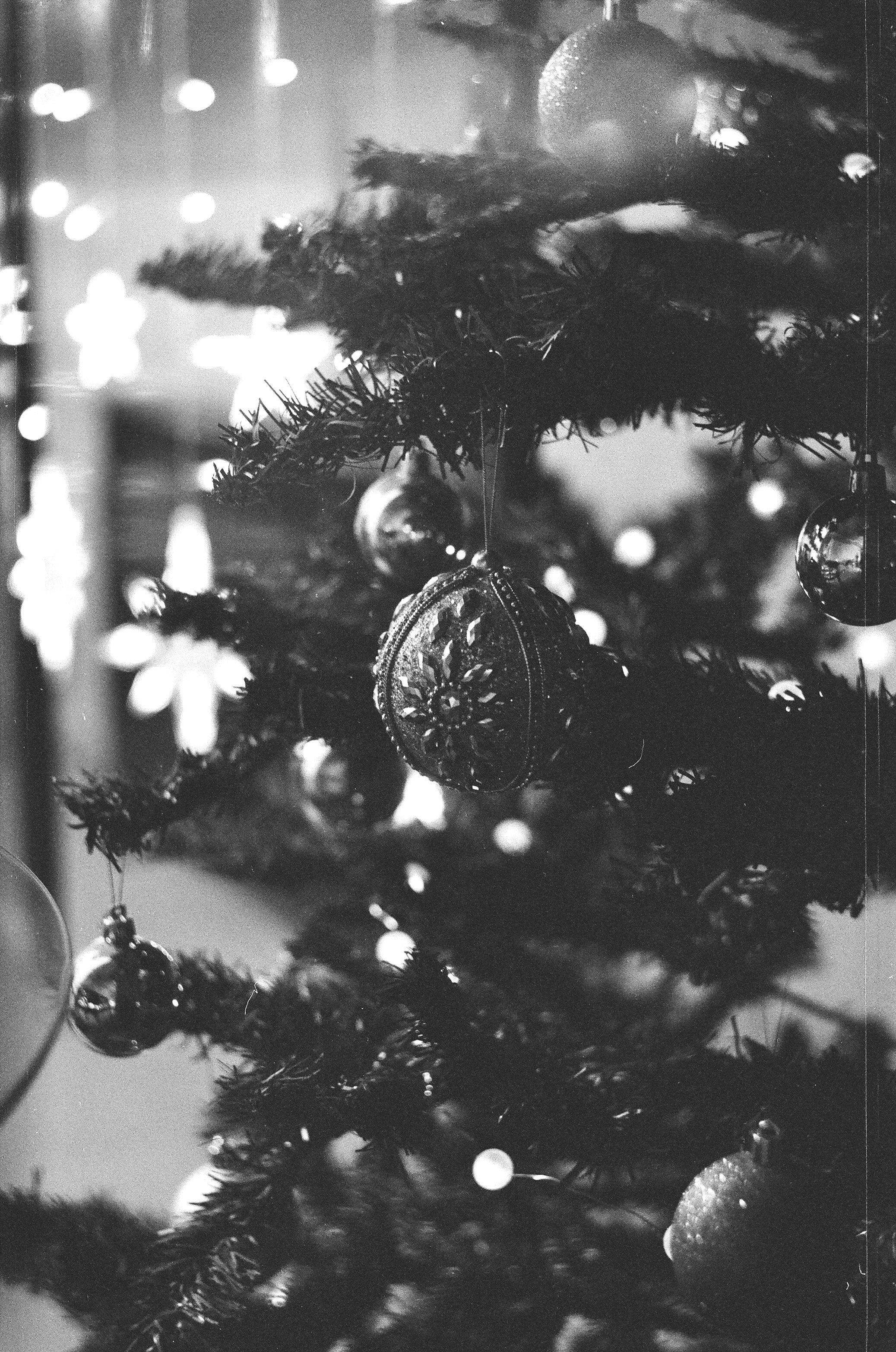 Grayscale Photo of Christmas Tree With Baubles · Free Stock Photo