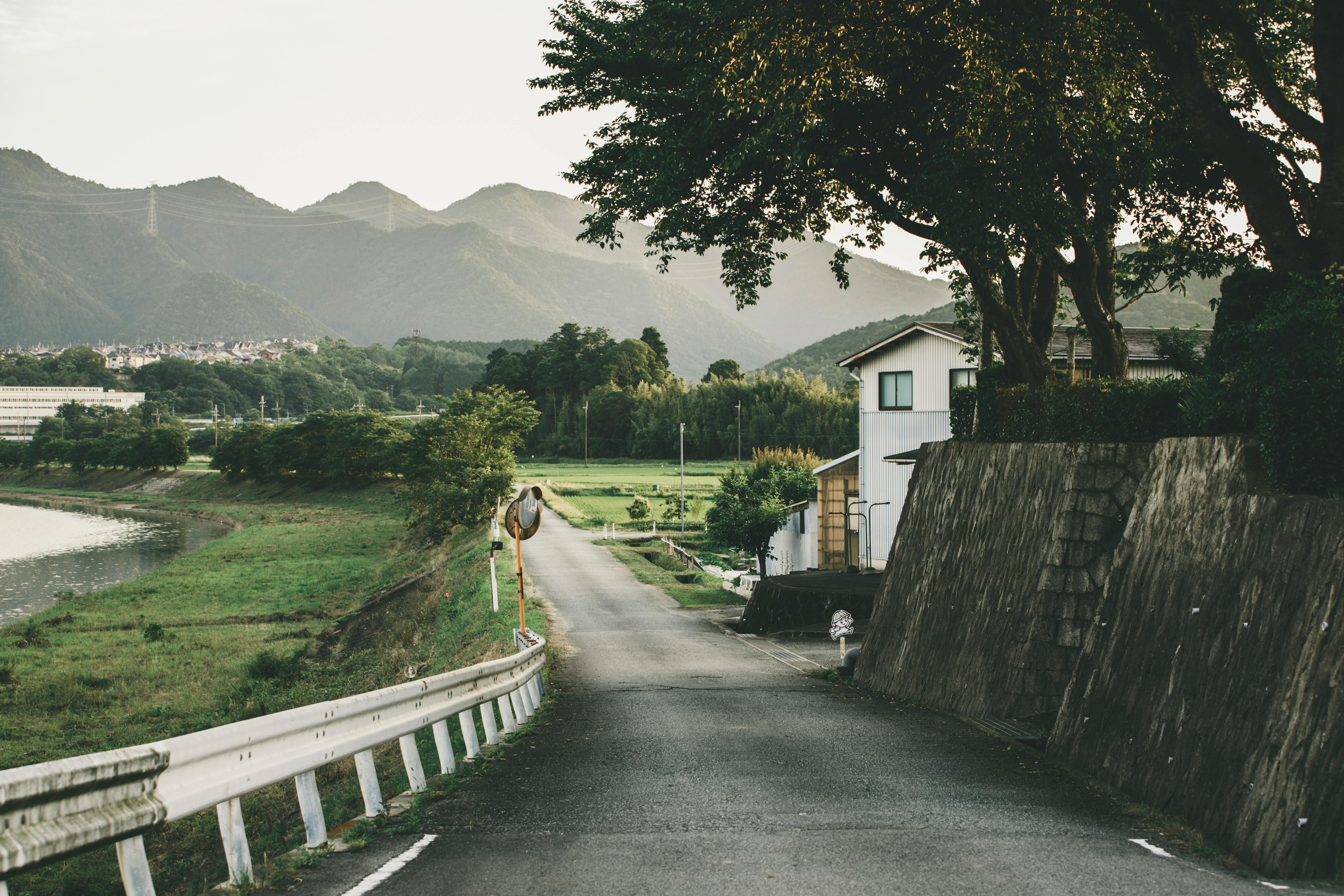 Road Near Houses · Free Stock Photo