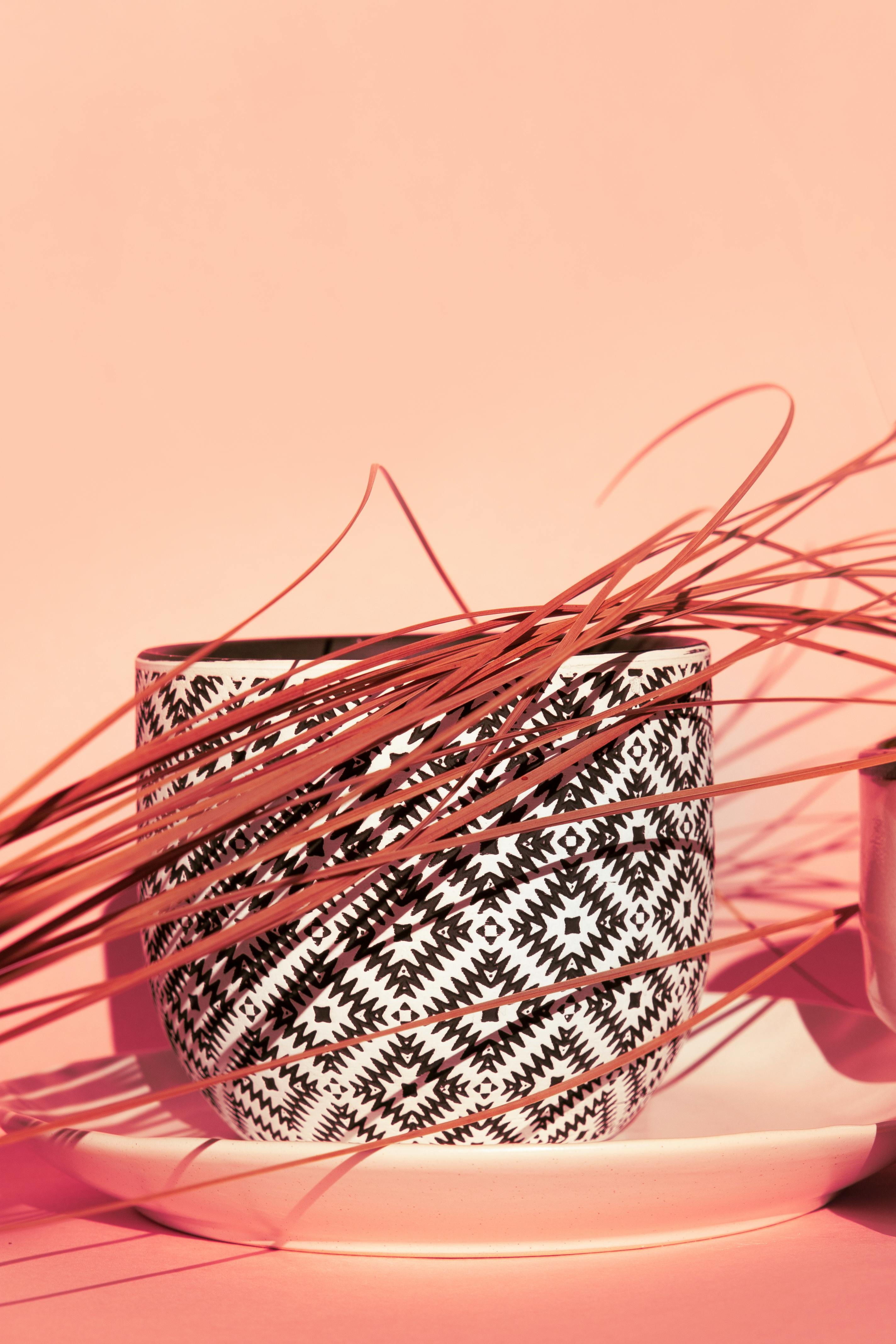 White Porcelain Dinnerware Set · Free Stock Photo