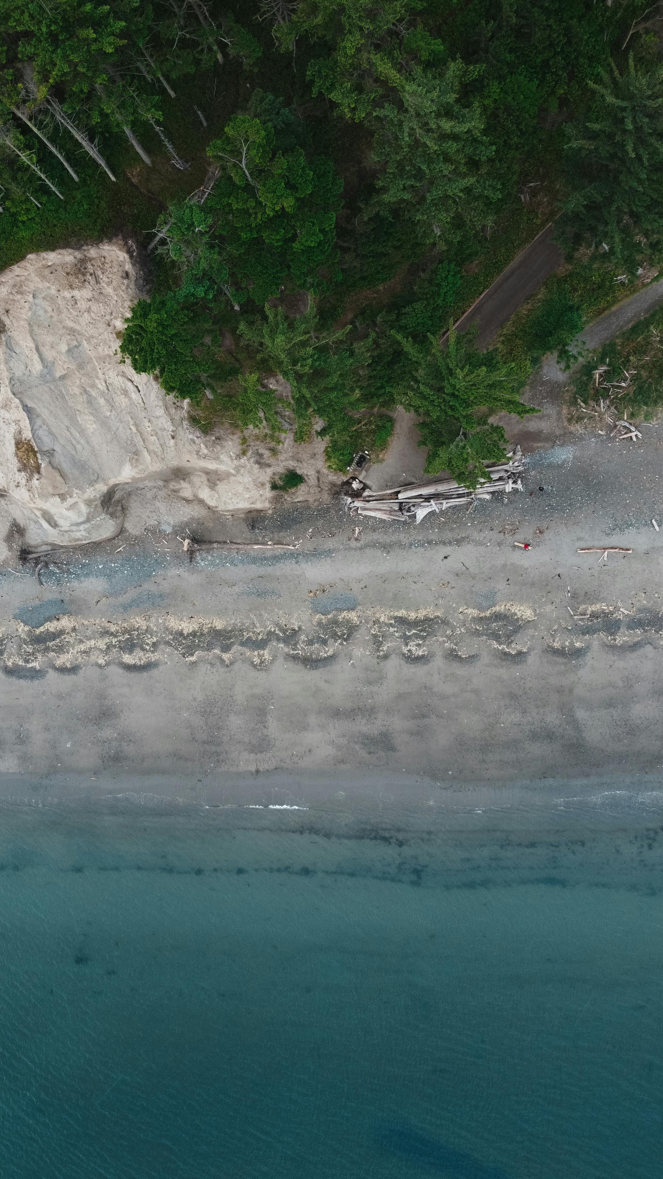 Aerial Photography of Trees in the Forest near Ocean · Free Stock Photo