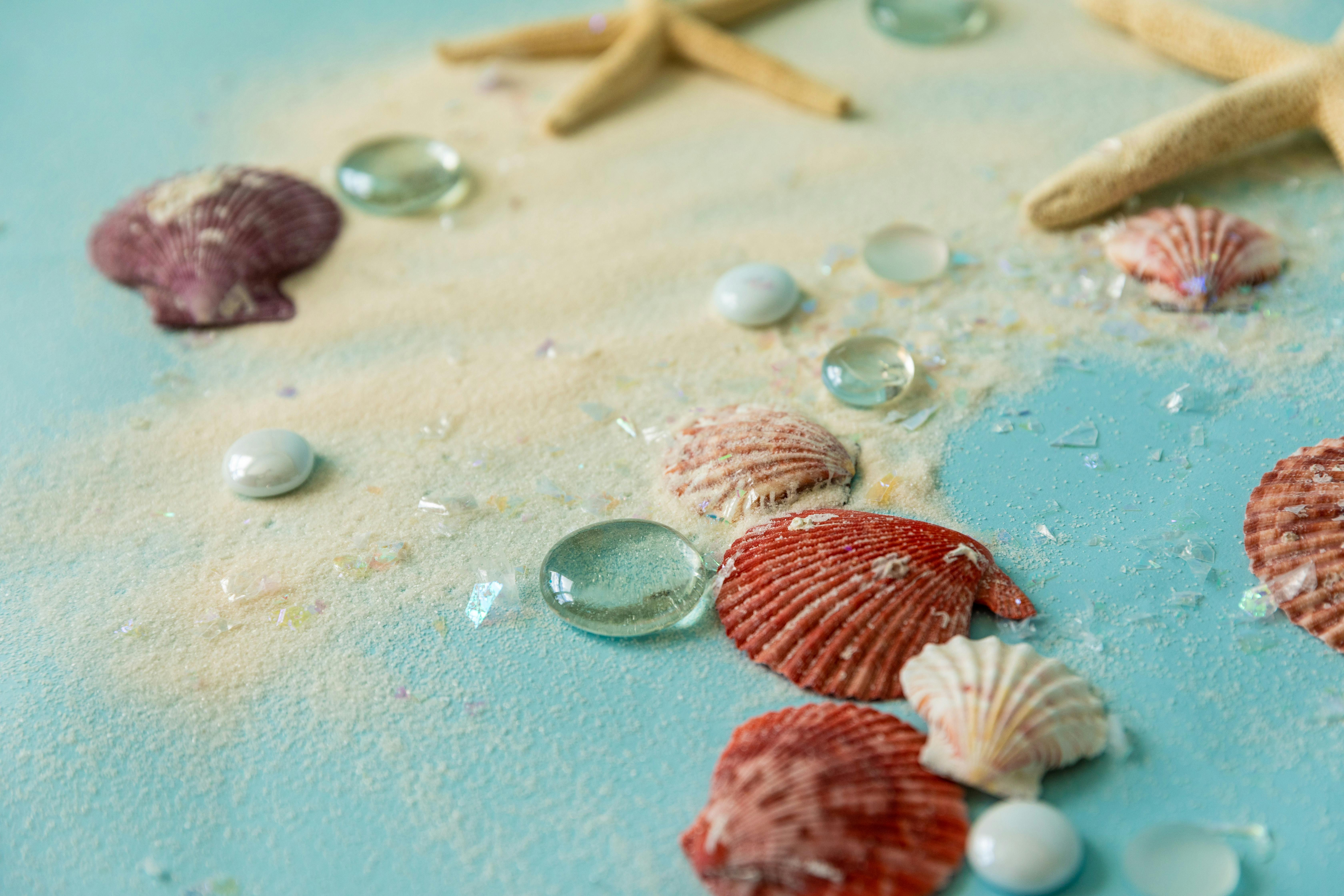 Close-Up Shot of Red and White Seashells on Teal Surface · Free Stock Photo