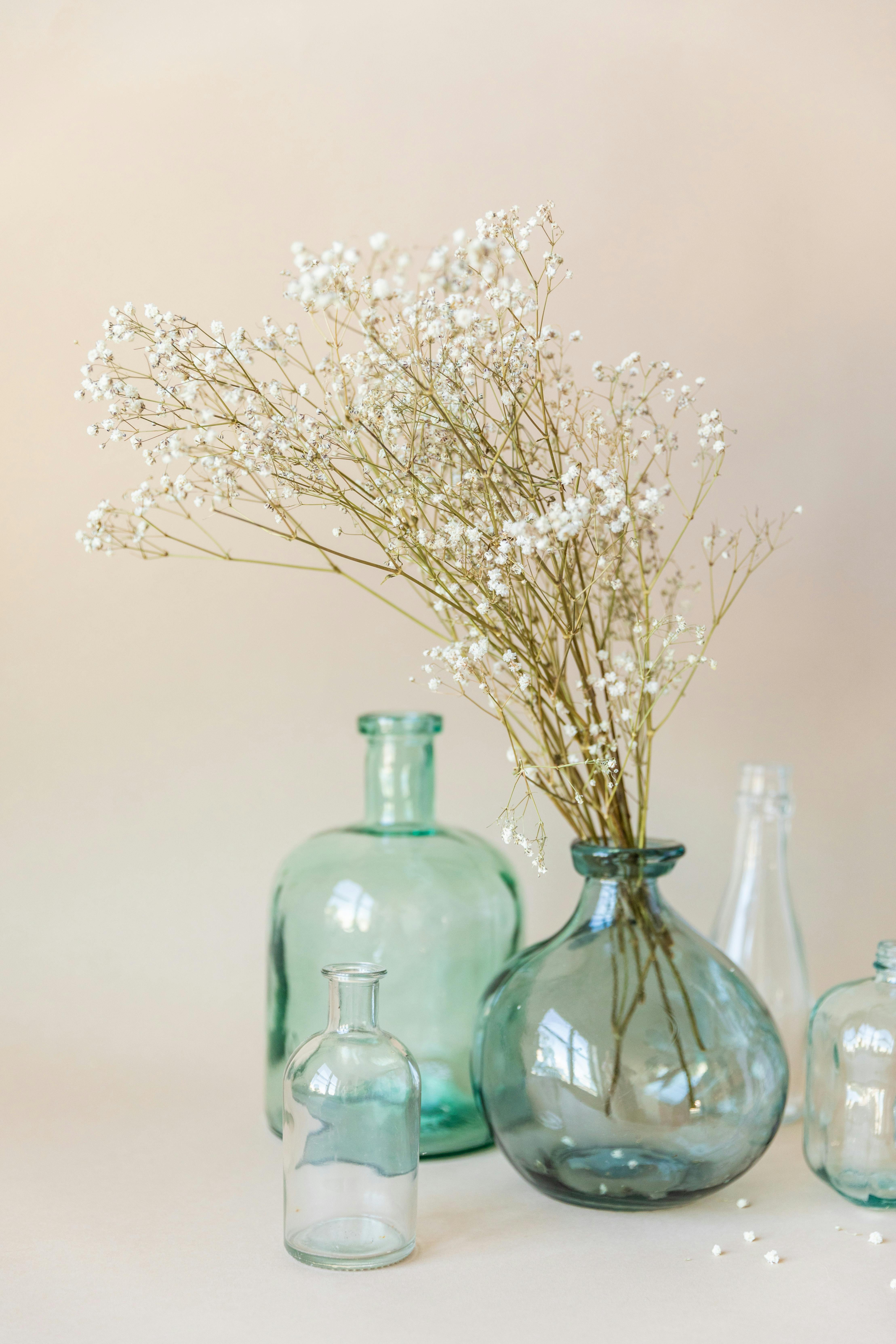 White Flowers in the Glass Bottles · Free Stock Photo
