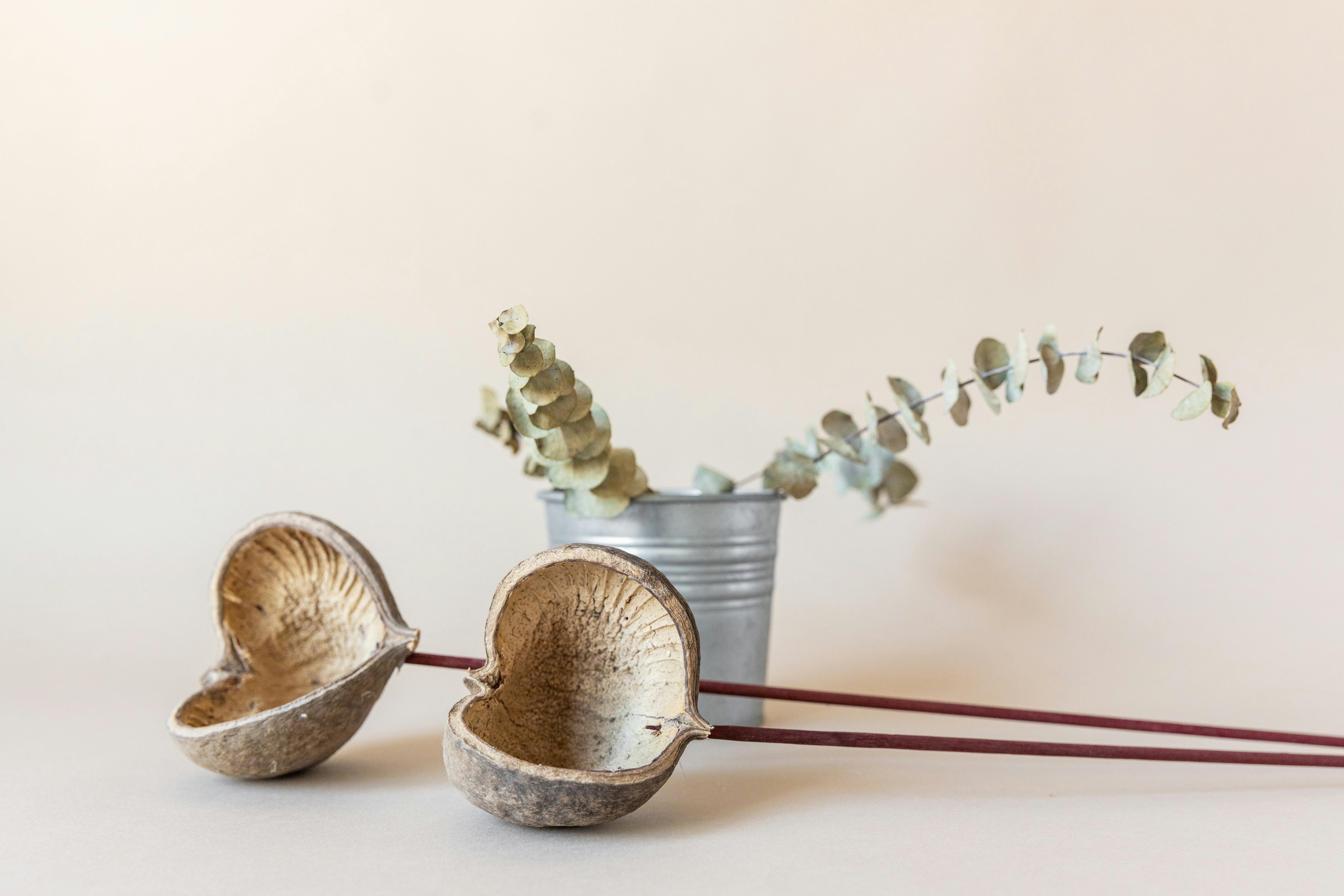 100+ Best Tin Photos · 100% Free Download · Pexels Stock Photos