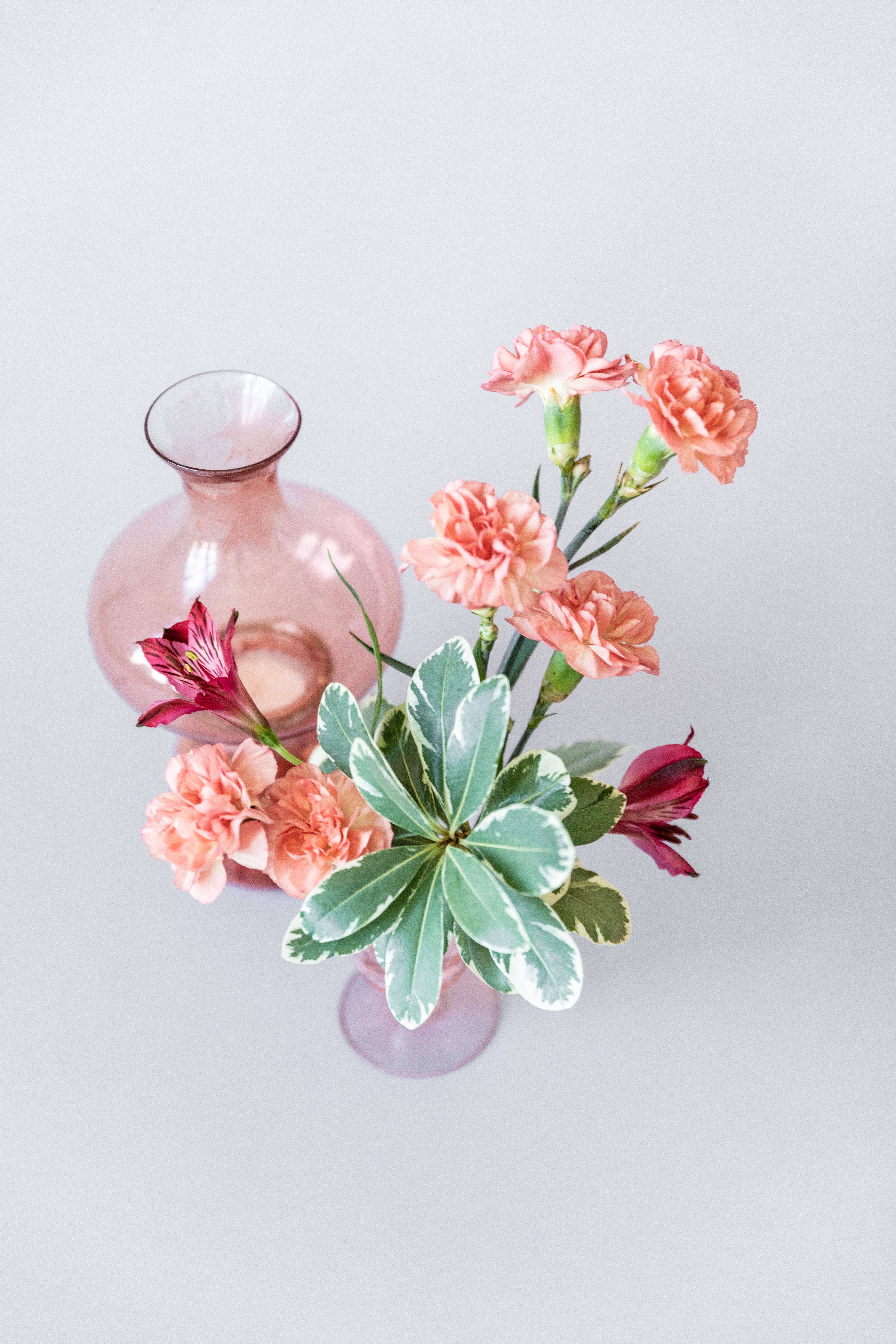 Photo of Rainbow Colored Flower in Glass Jar · Free Stock Photo
