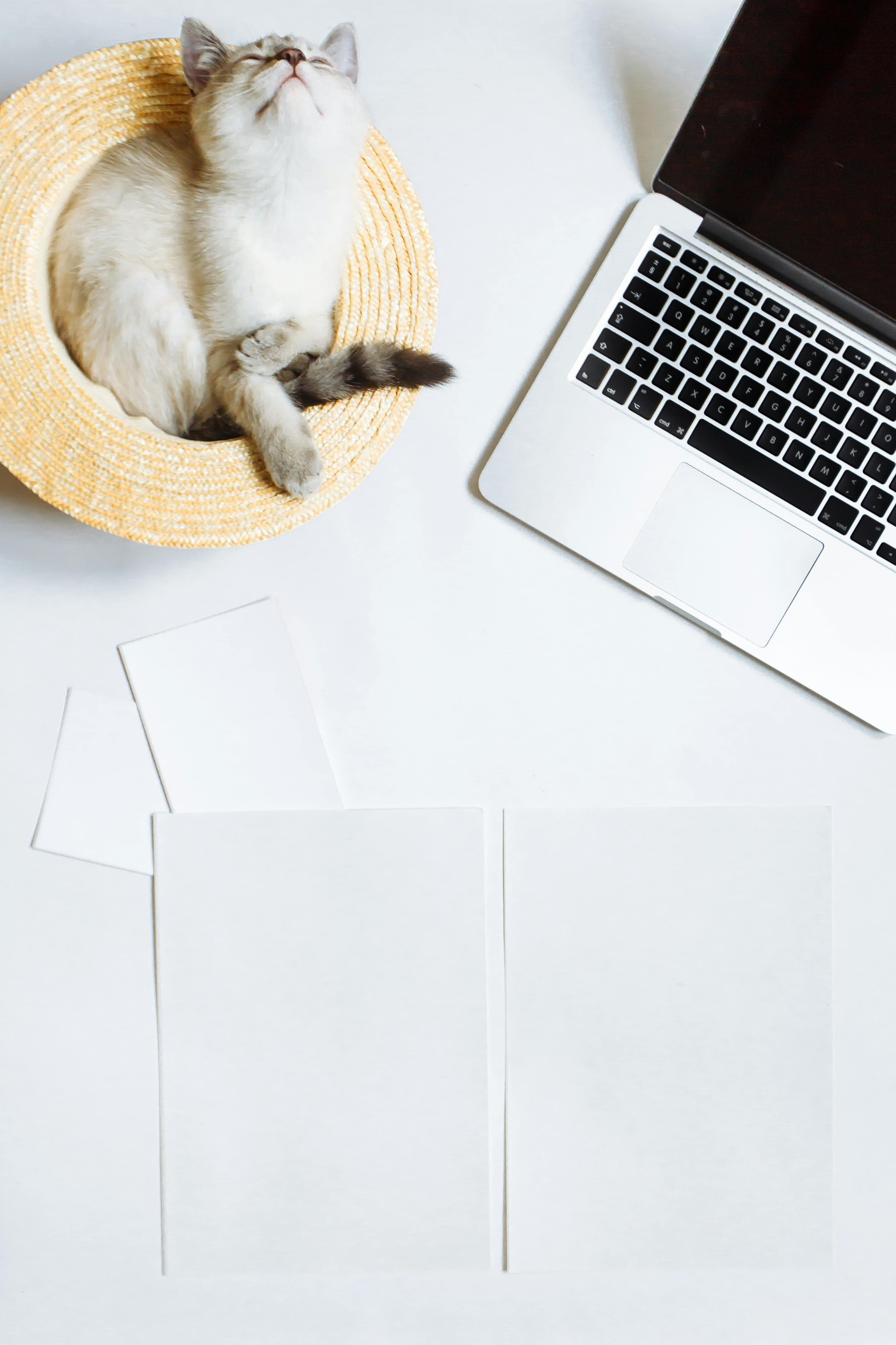 40,000+ Best Smashed Paper Photos · 100% Free Download · Pexels Stock ...