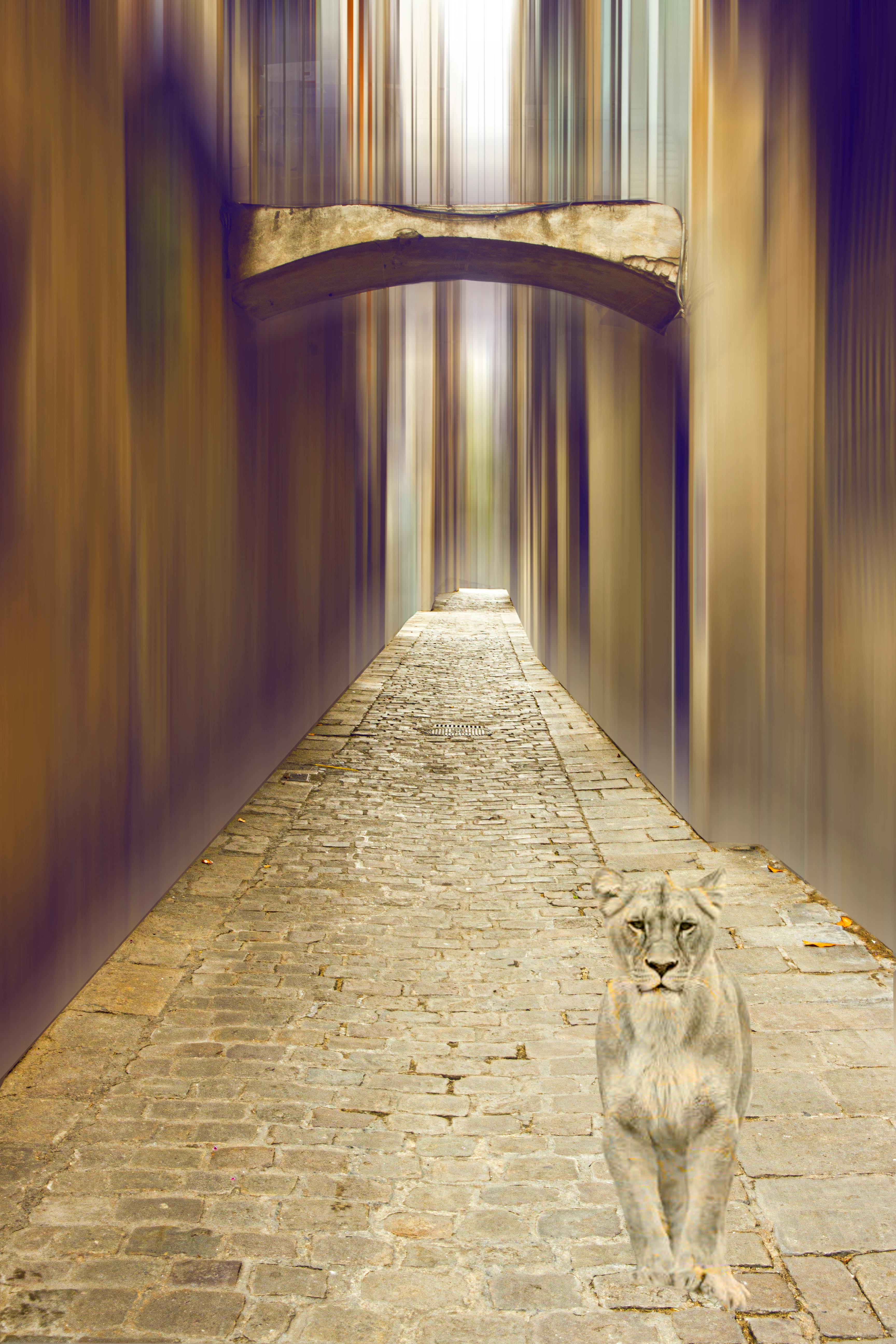 169 fotos y vídeos de Amigos de cuatro patas guardados por Renato Rocca