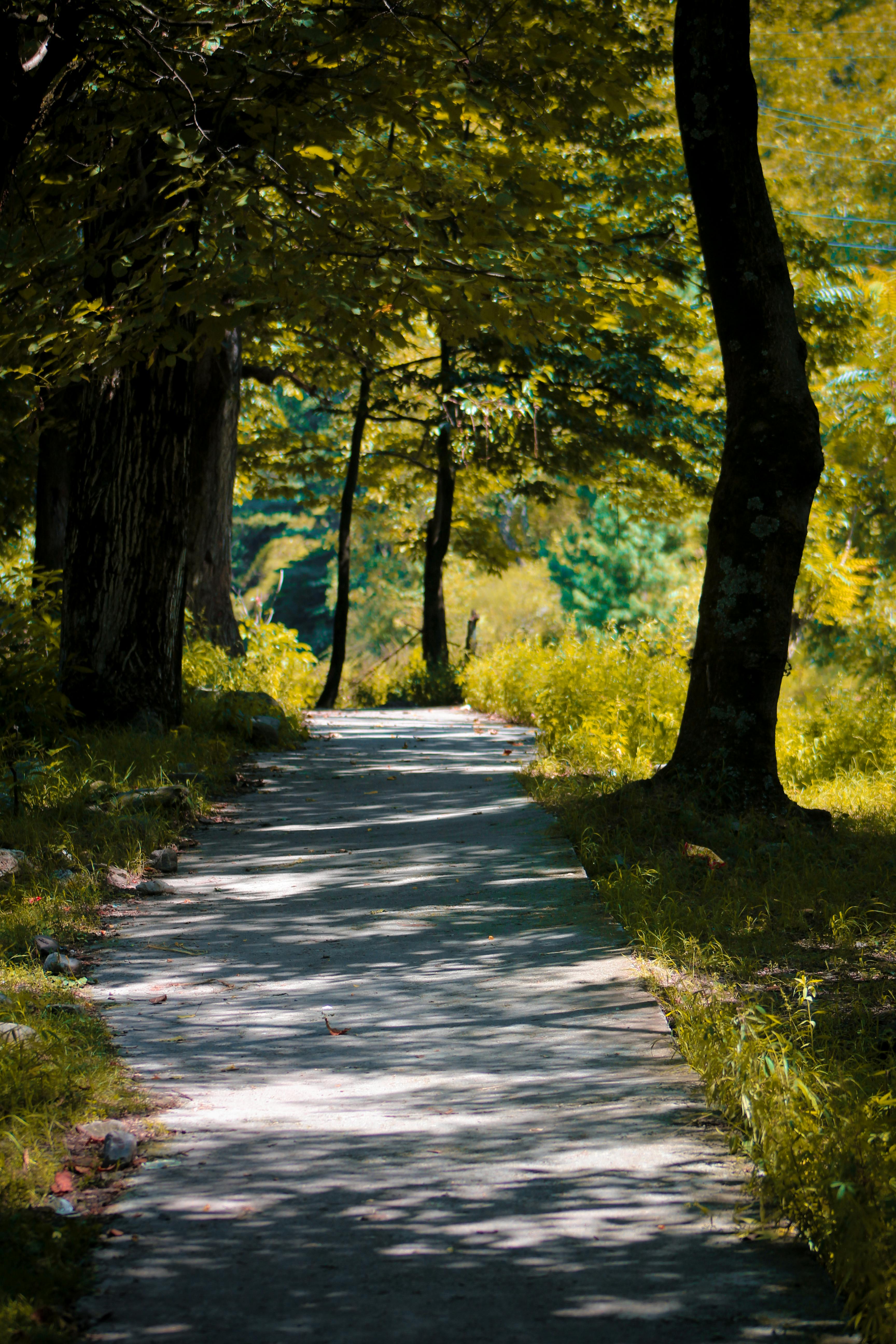 Huzaifa Mughal - 사진