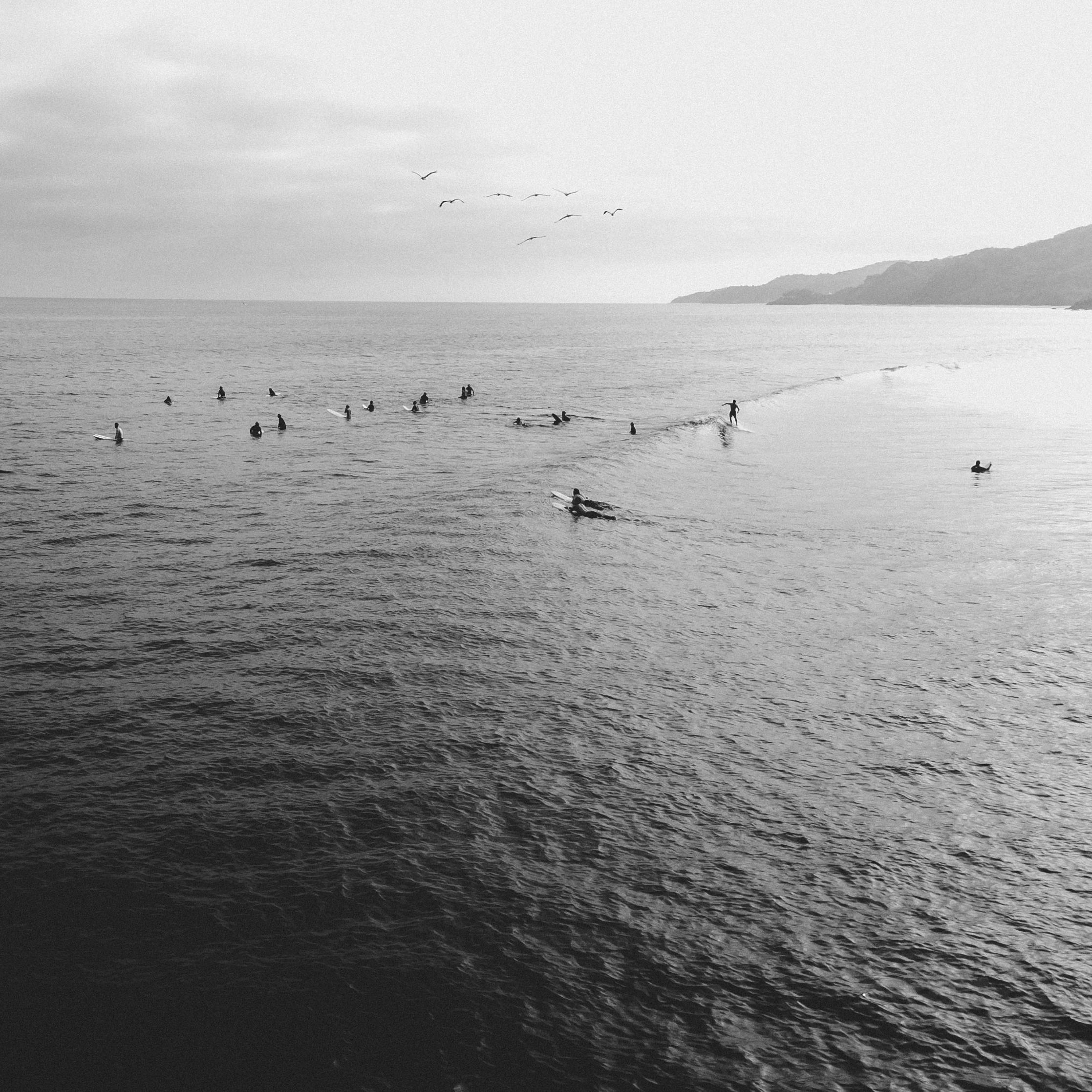 Grayscale Photo of People Walking · Free Stock Photo