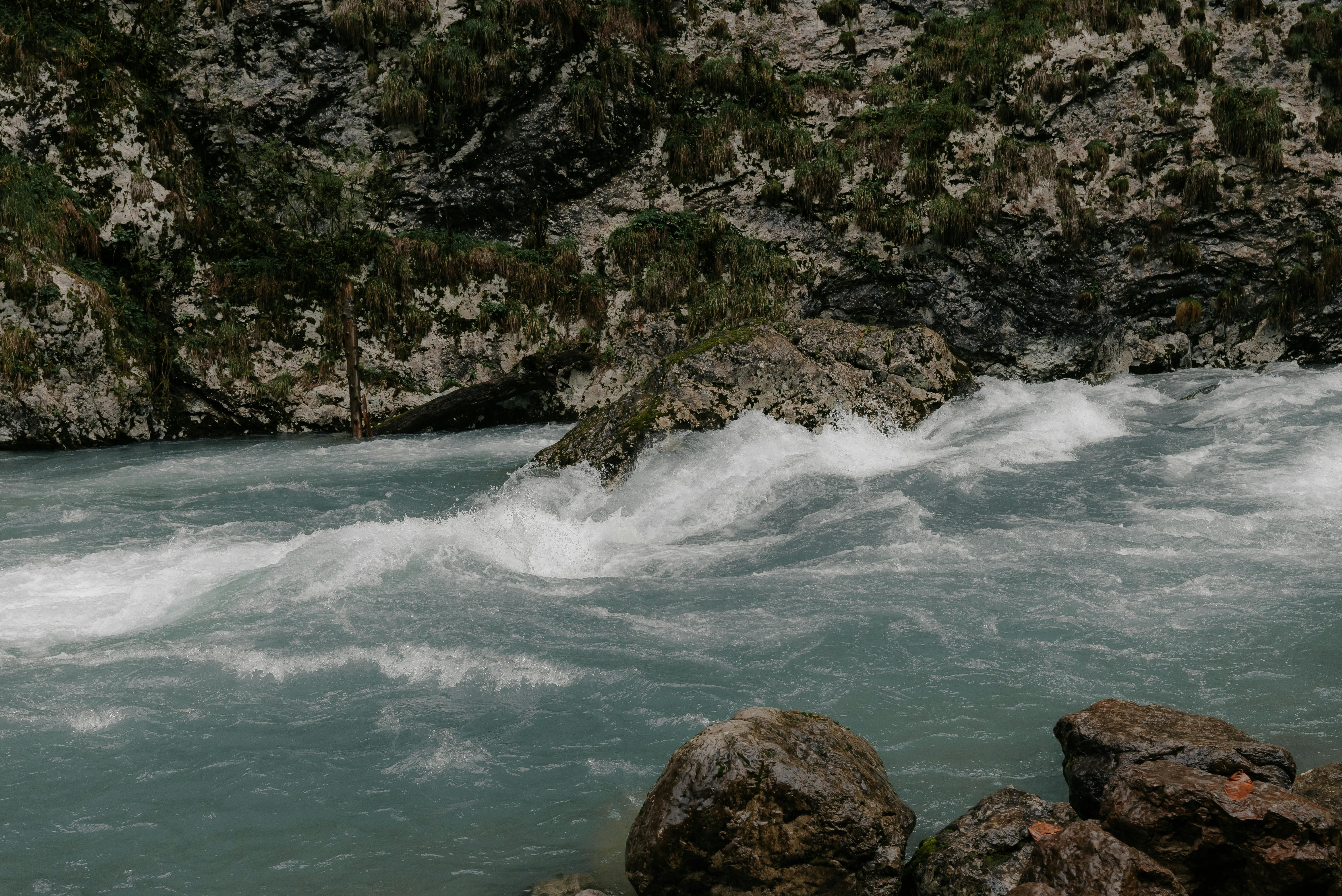 Violent River Rapids · Free Stock Photo
