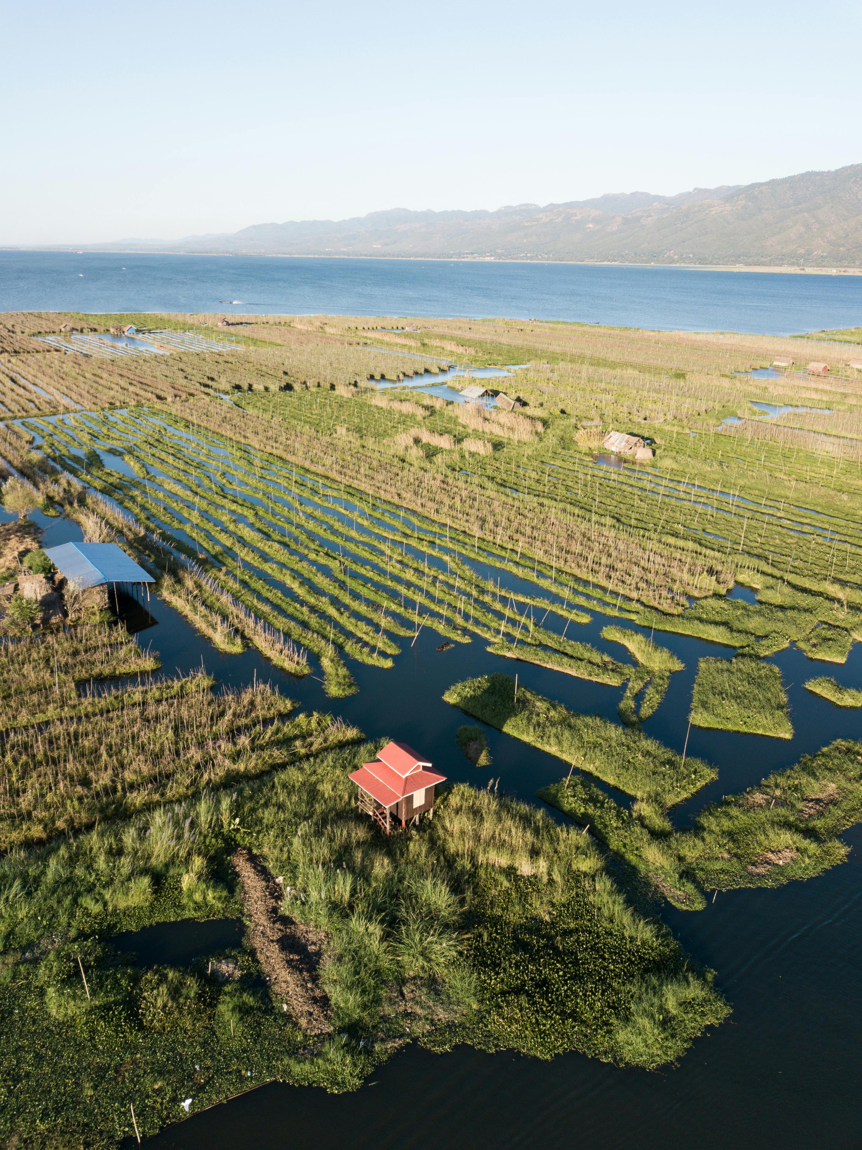 Agricultural Field on the Wetlands · Free Stock Photo