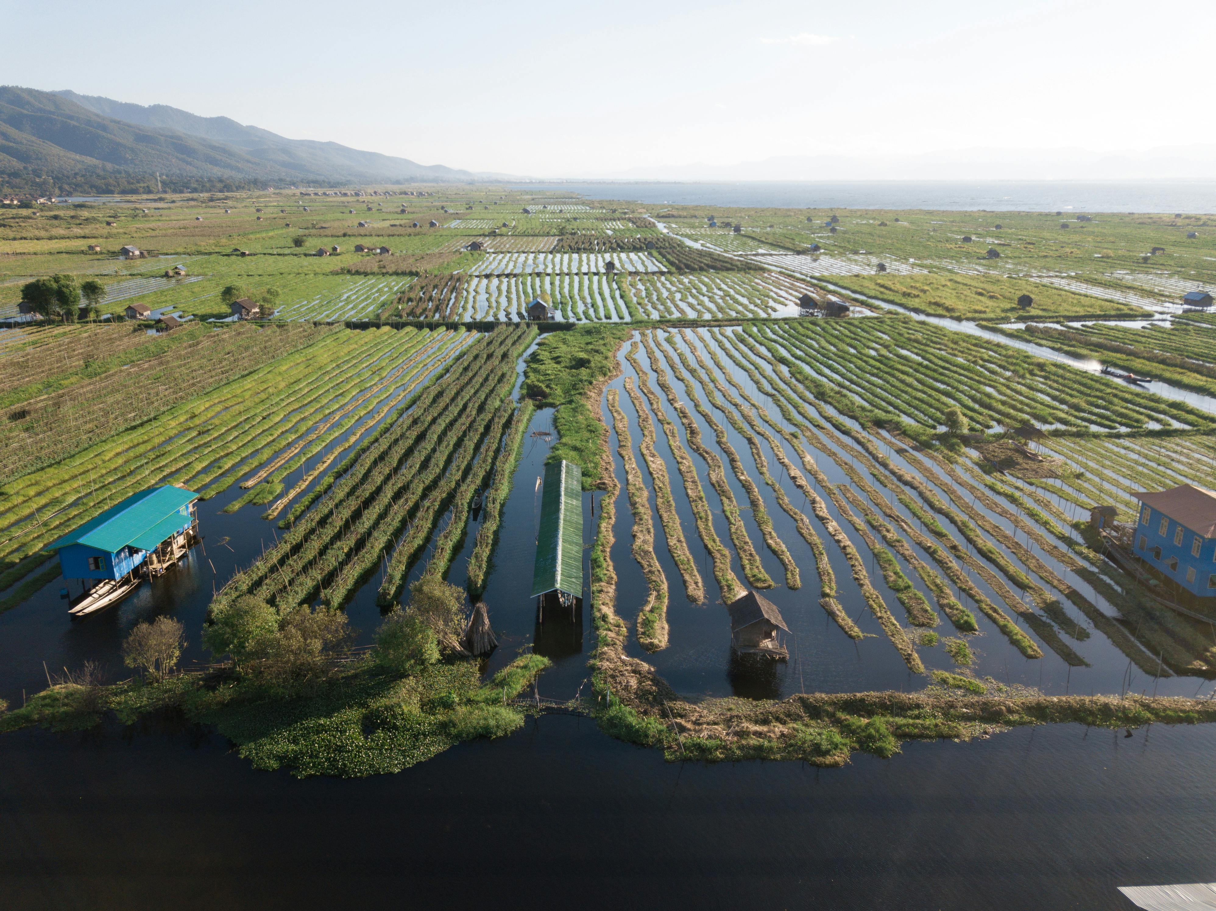 Drone Shot of Wetlands · Free Stock Photo