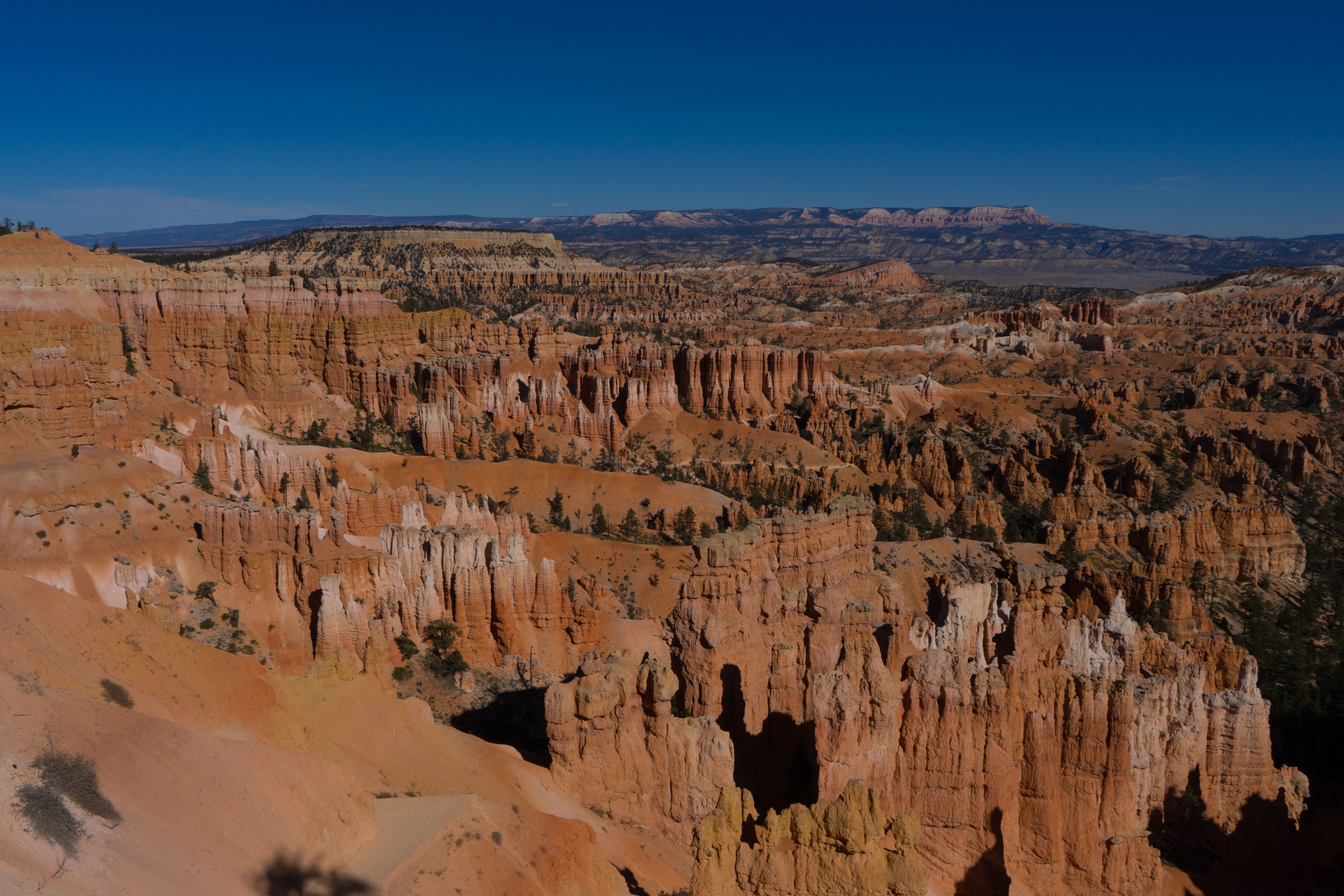 Stunning Bryce Canyon Landscape at Sunrise · Free Stock Photo