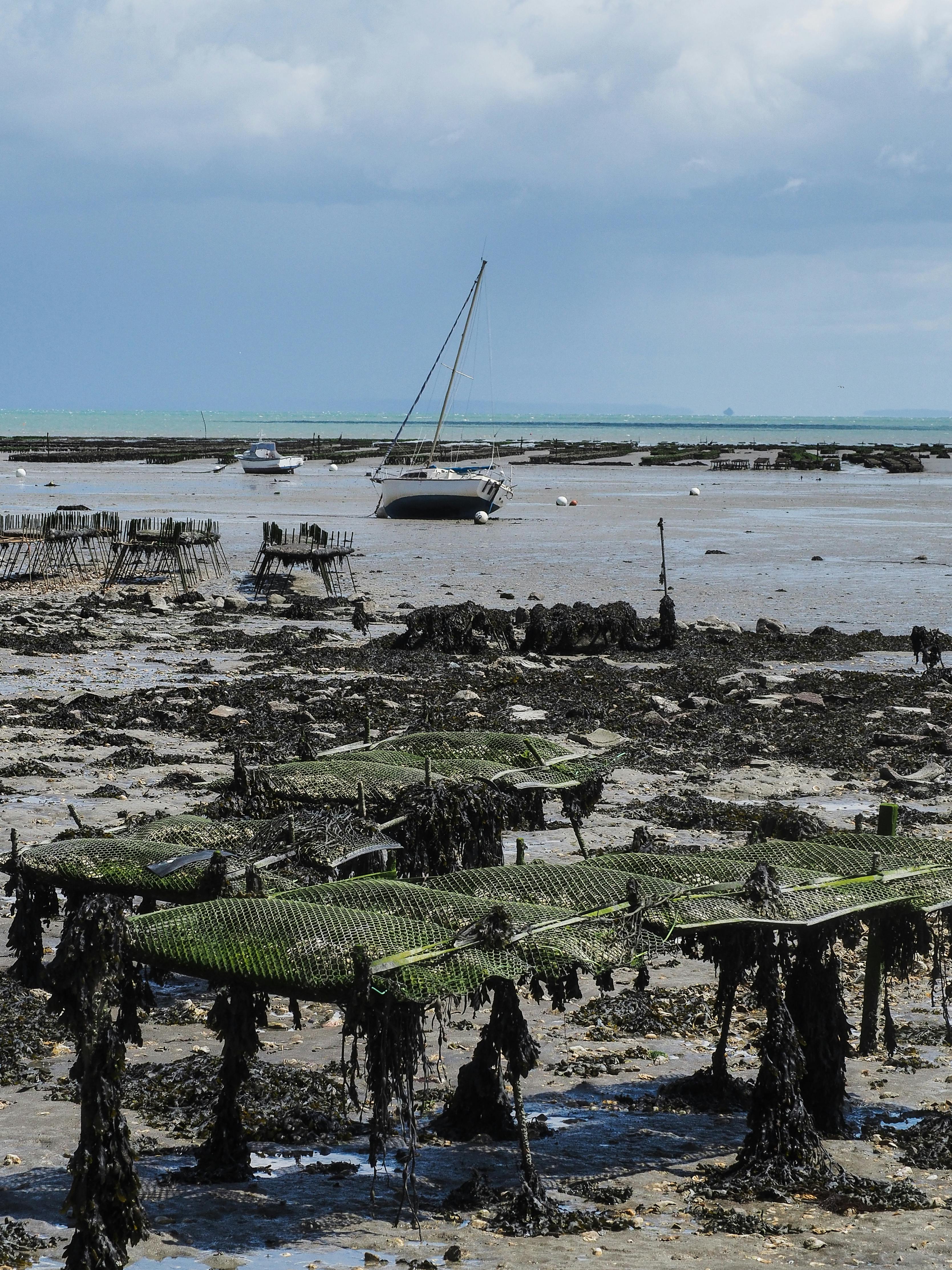 Fishing Nets on Shore during Low Tide · Free Stock Photo