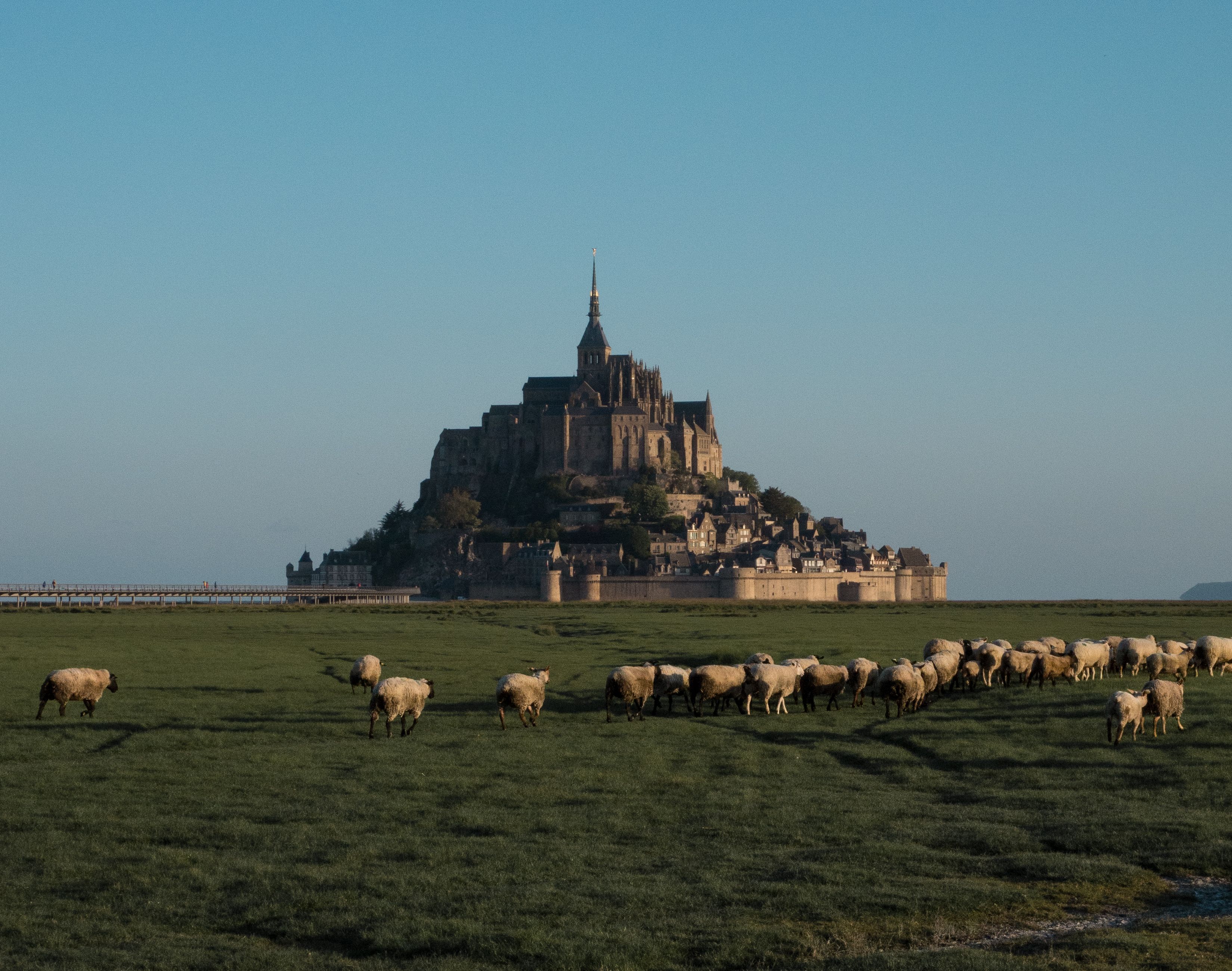 Mont Saint-Michel Medieval Island Abbey · Free Stock Photo