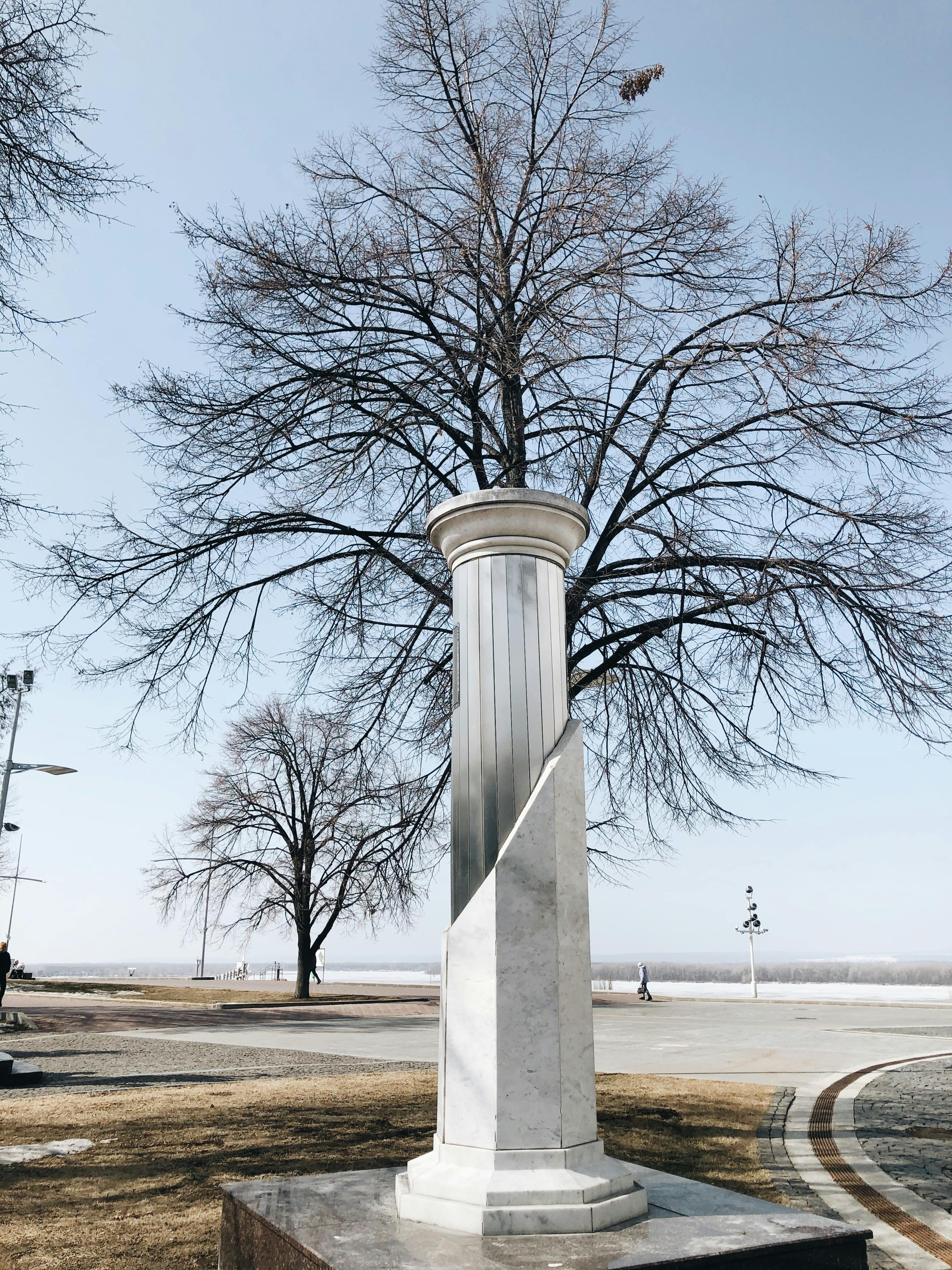 Bare Branches Photos, Download The BEST Free Bare Branches Stock Photos ...