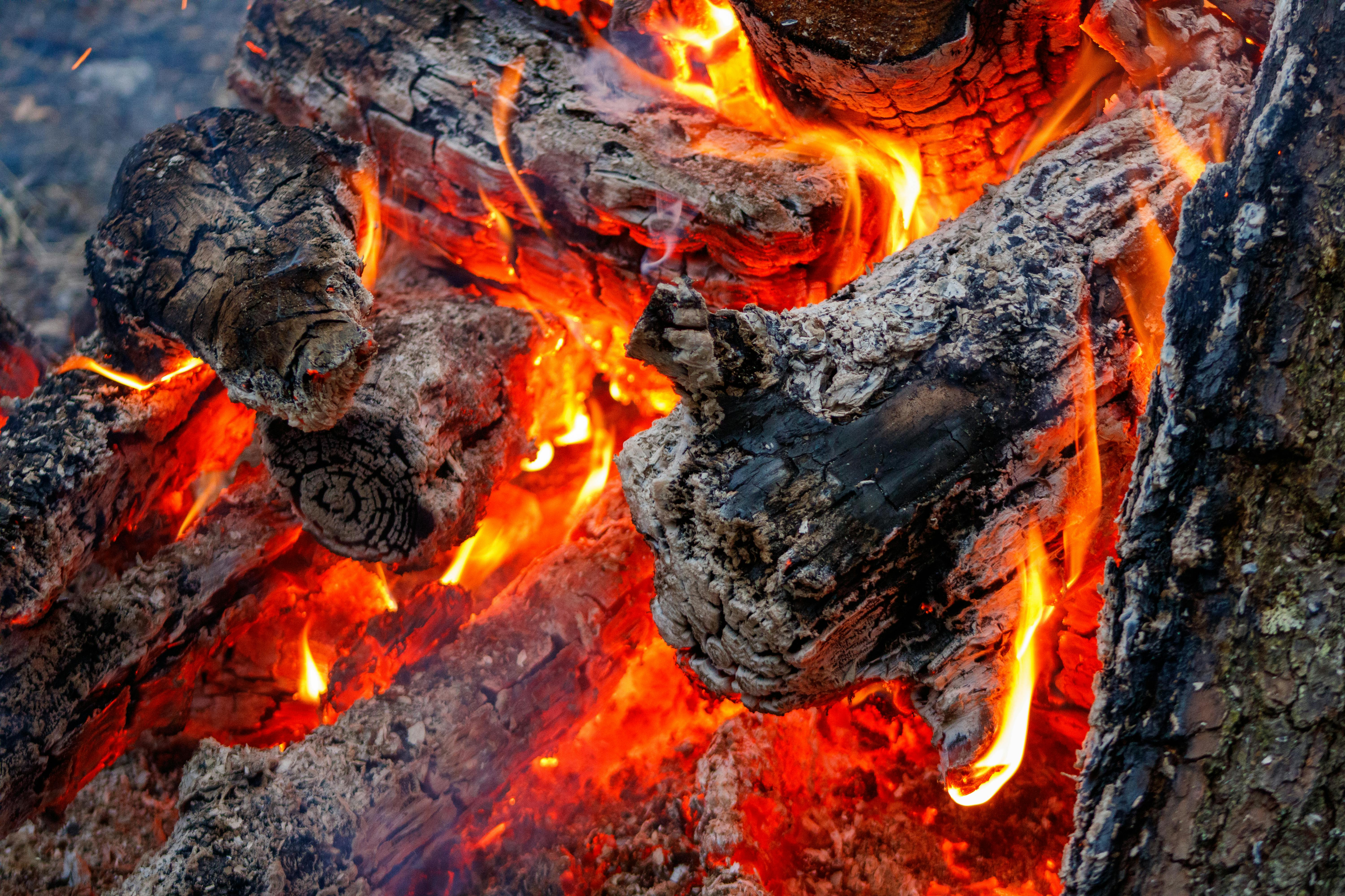 Close-up of Wood Logs Burning in Campfire · Free Stock Photo