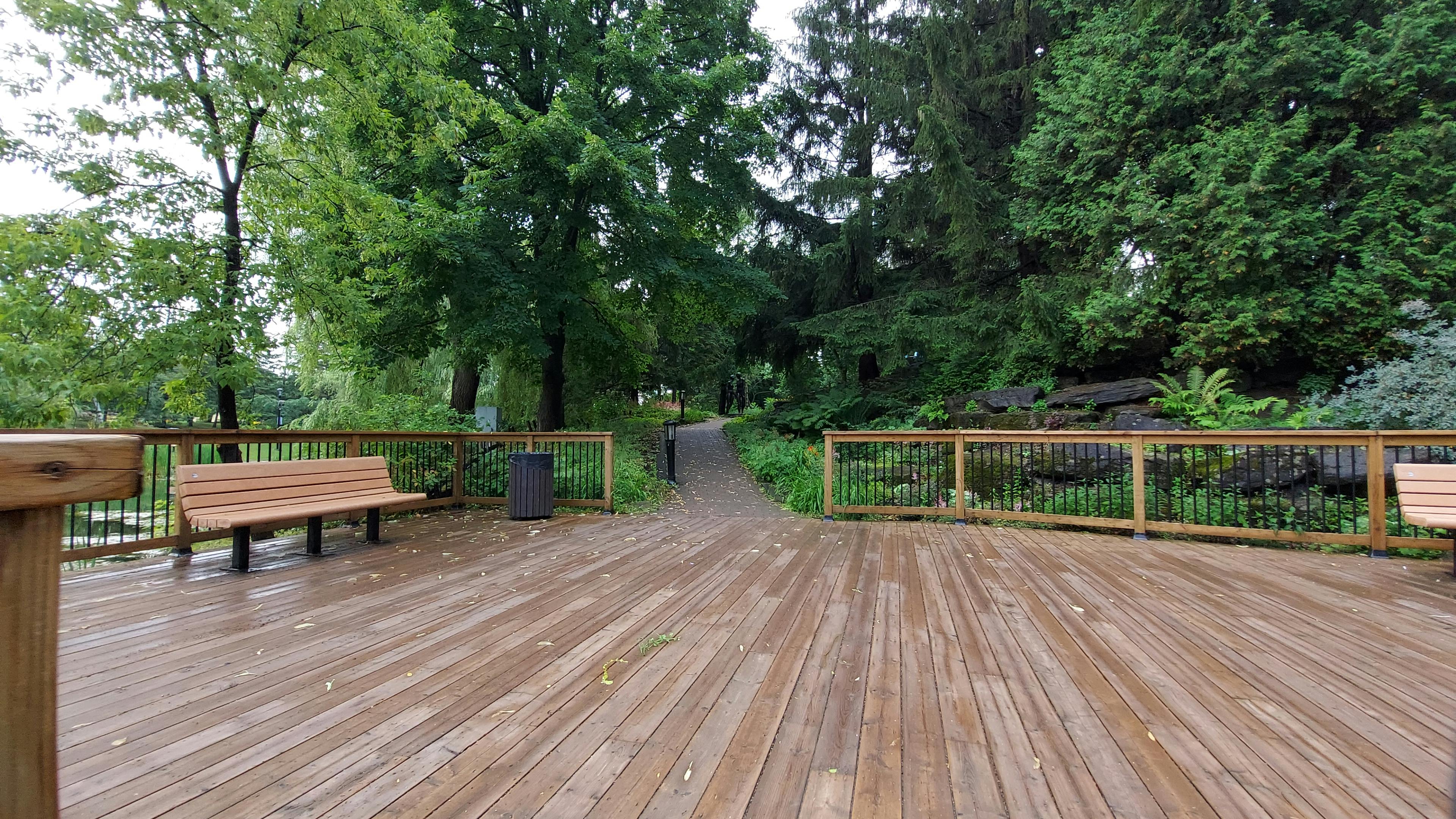 Alexandru Gutu - Photography