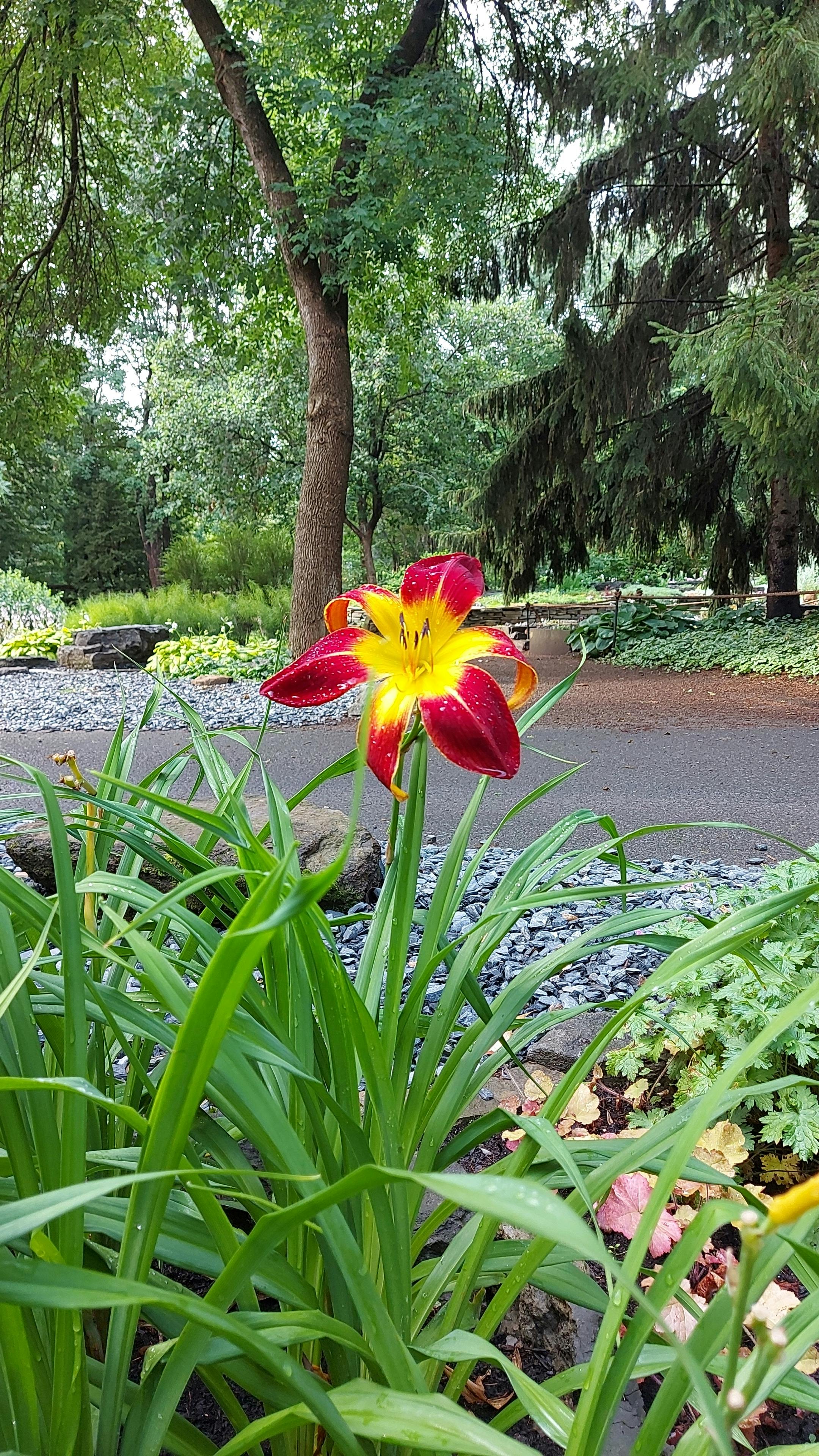 Alexandru Gutu - Photography