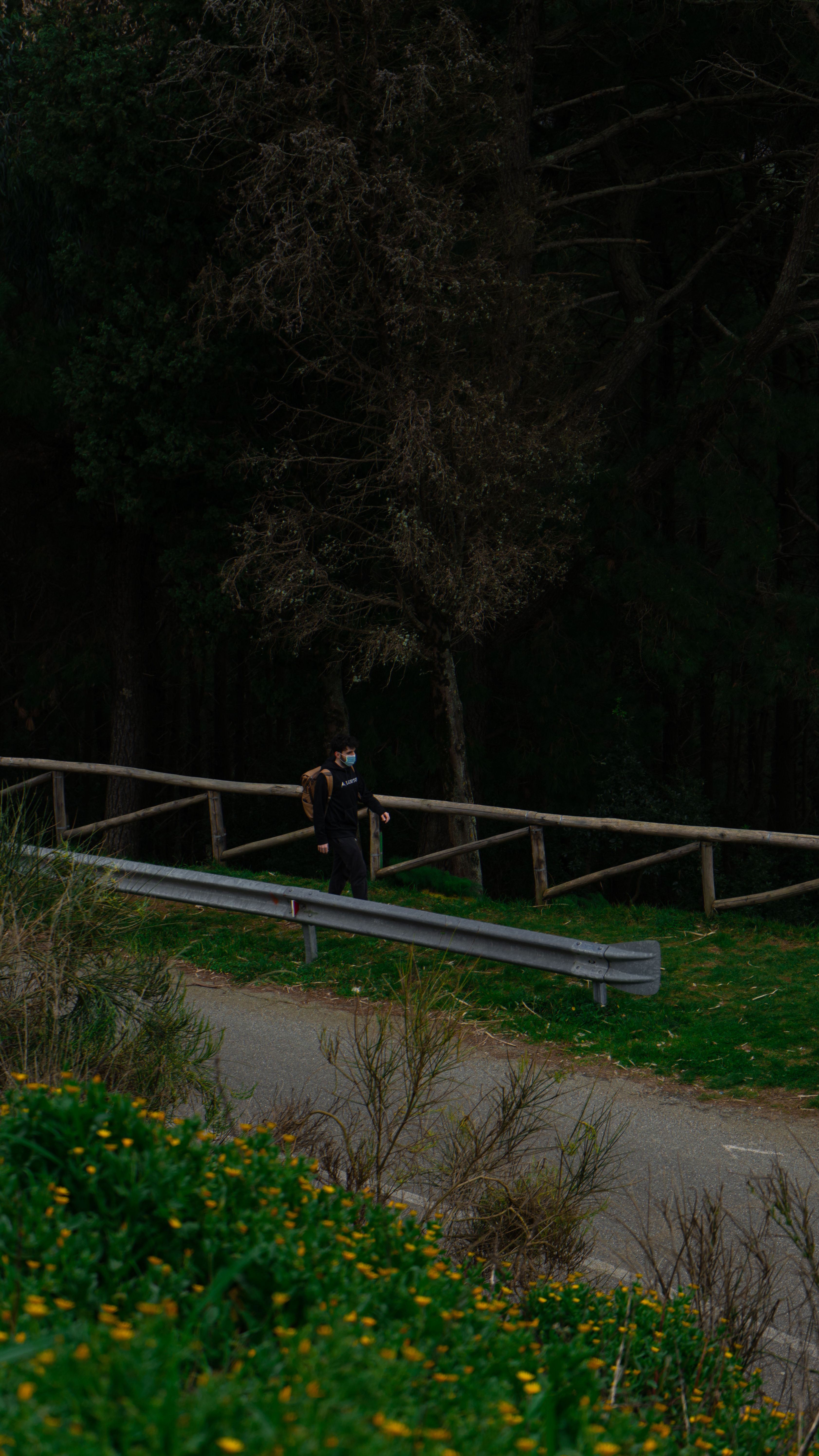 A Person Walking on the Roadside · Free Stock Photo