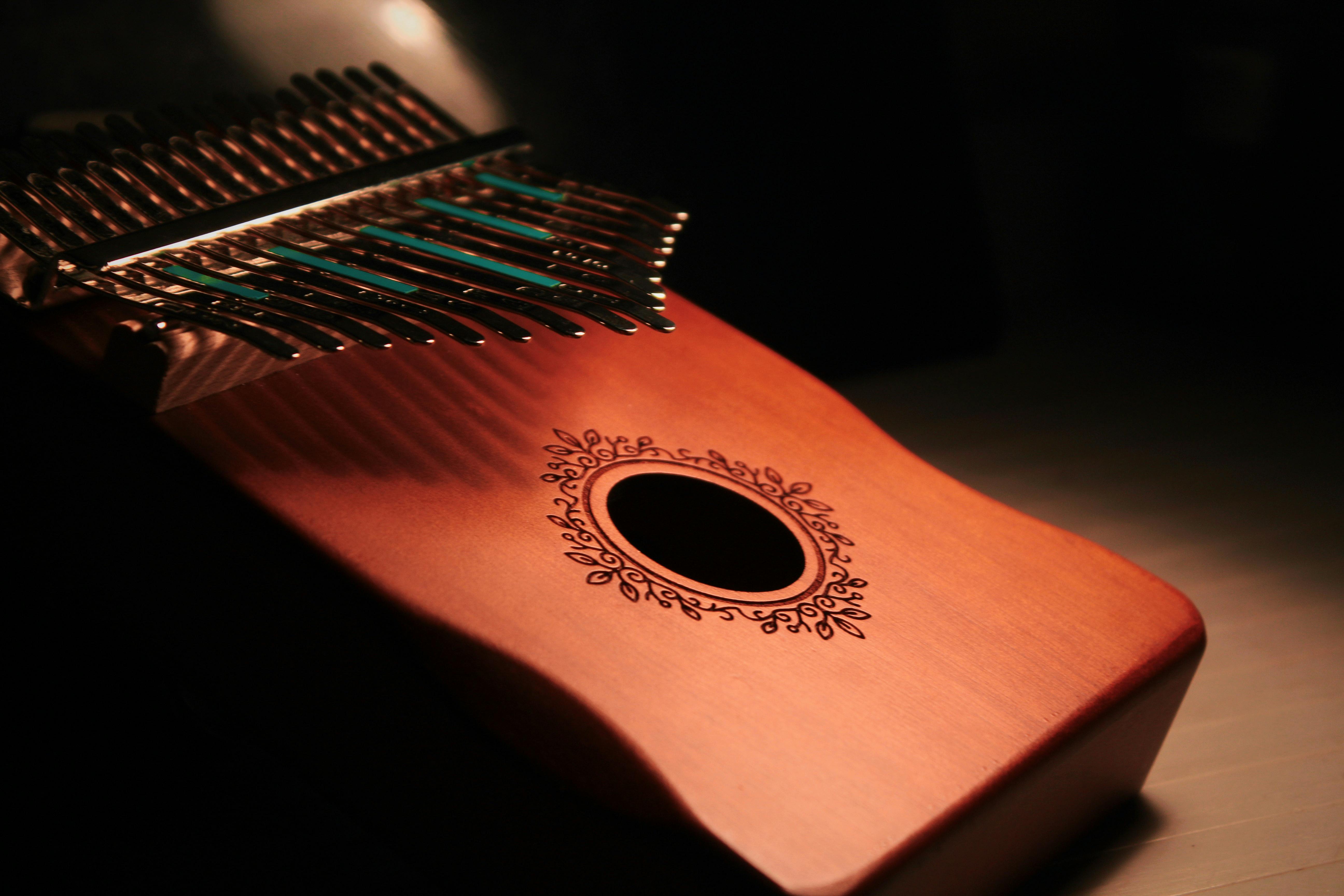 Close-up of a Traditional Musical Instrument · Free Stock Photo