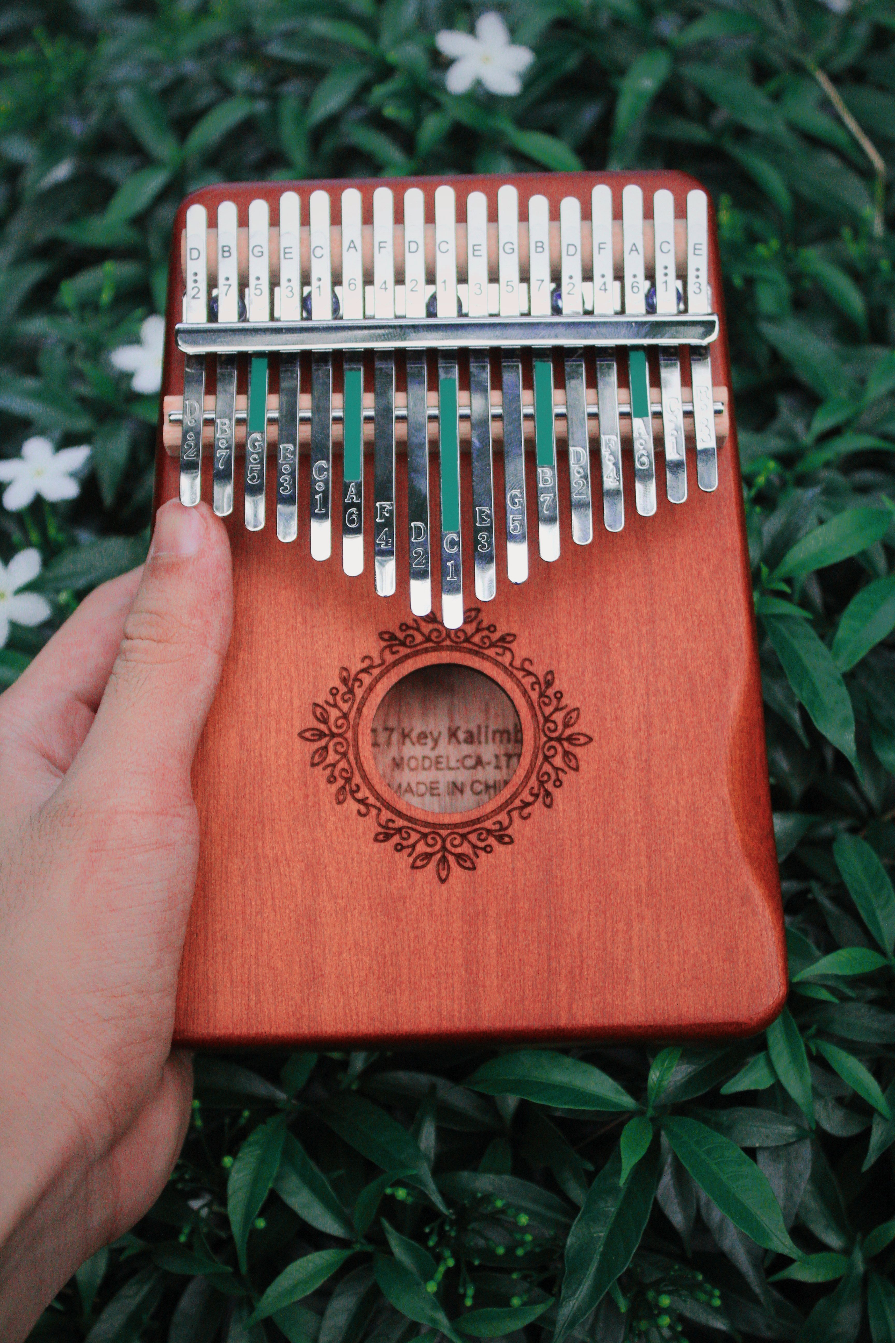 Kalimba Photos, Download The BEST Free Kalimba Stock Photos & HD Images