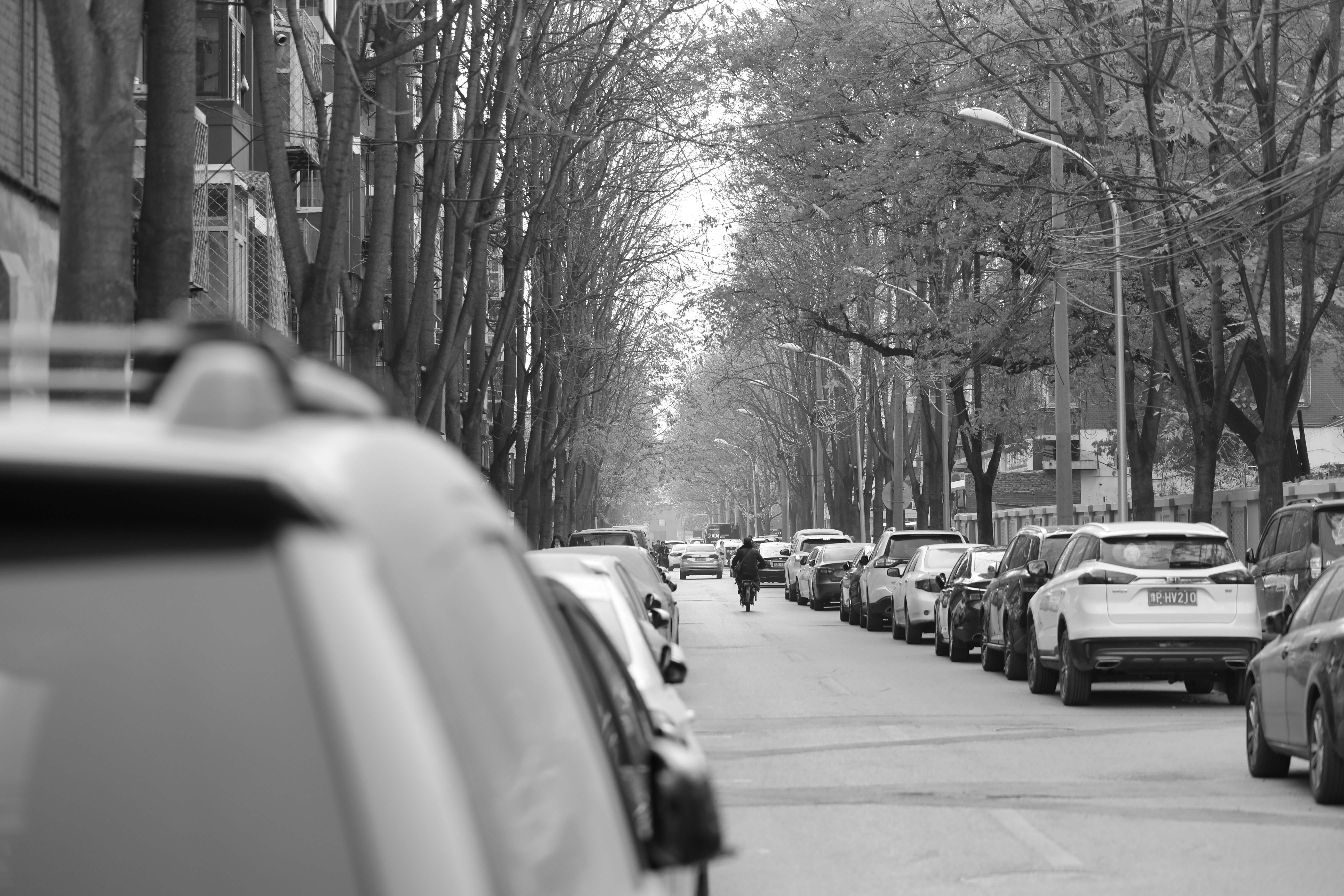 Traffic Jam Along a Treelined City Street · Free Stock Photo