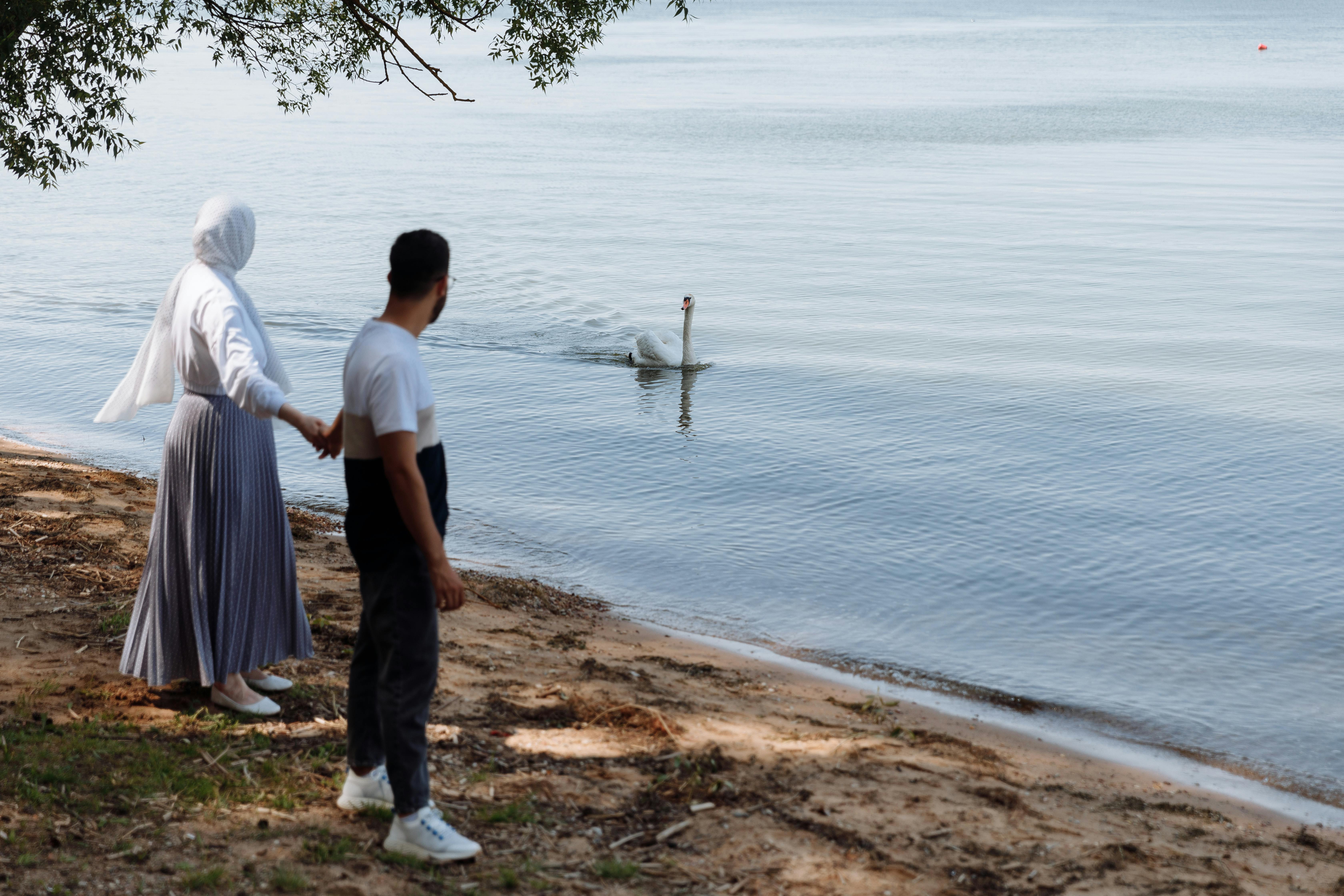 Hijab Bird Photos, Download The BEST Free Hijab Bird Stock Photos & HD ...