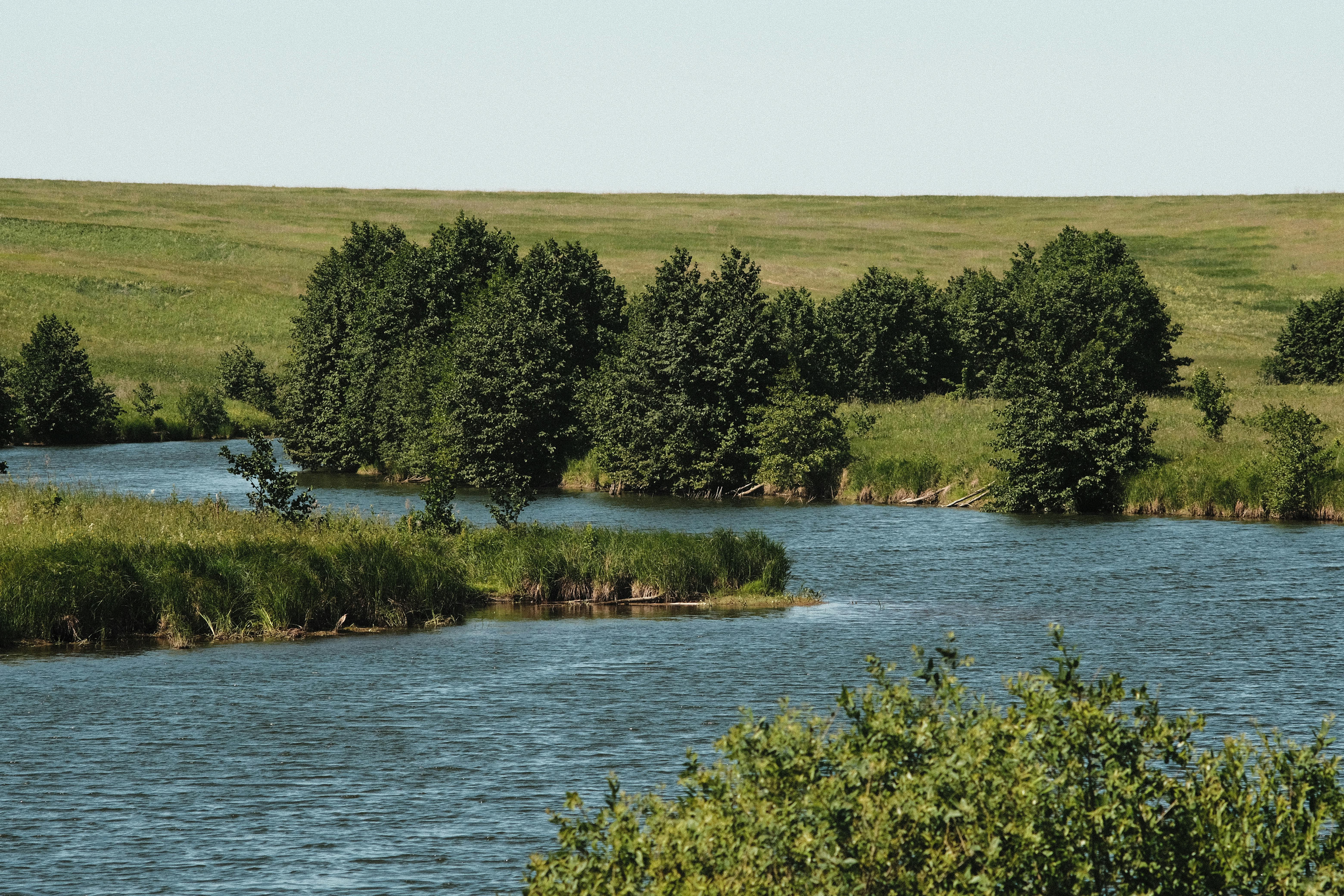 A Nature Photography of a River with Green Trees · Free Stock Photo