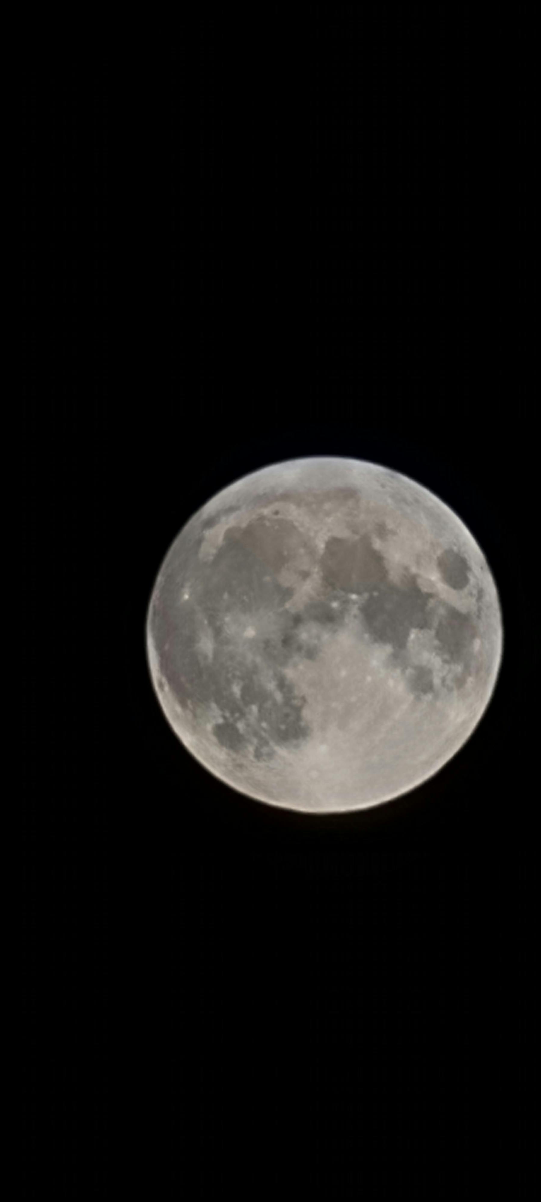 luna, lunática 8 Photos & Videos Collected by @byTere CorisVeray