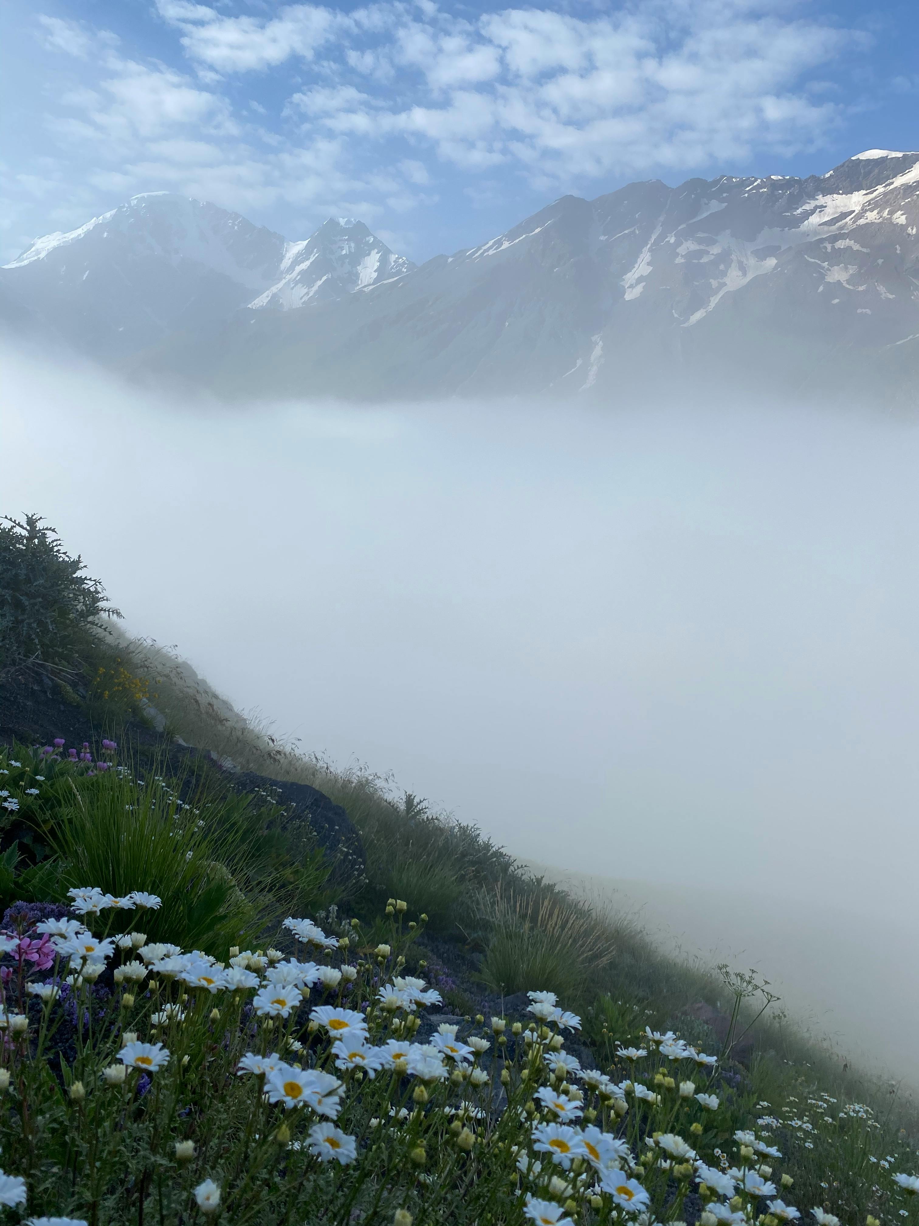 Mountain Under Clear Blue Sky · Free Stock Photo