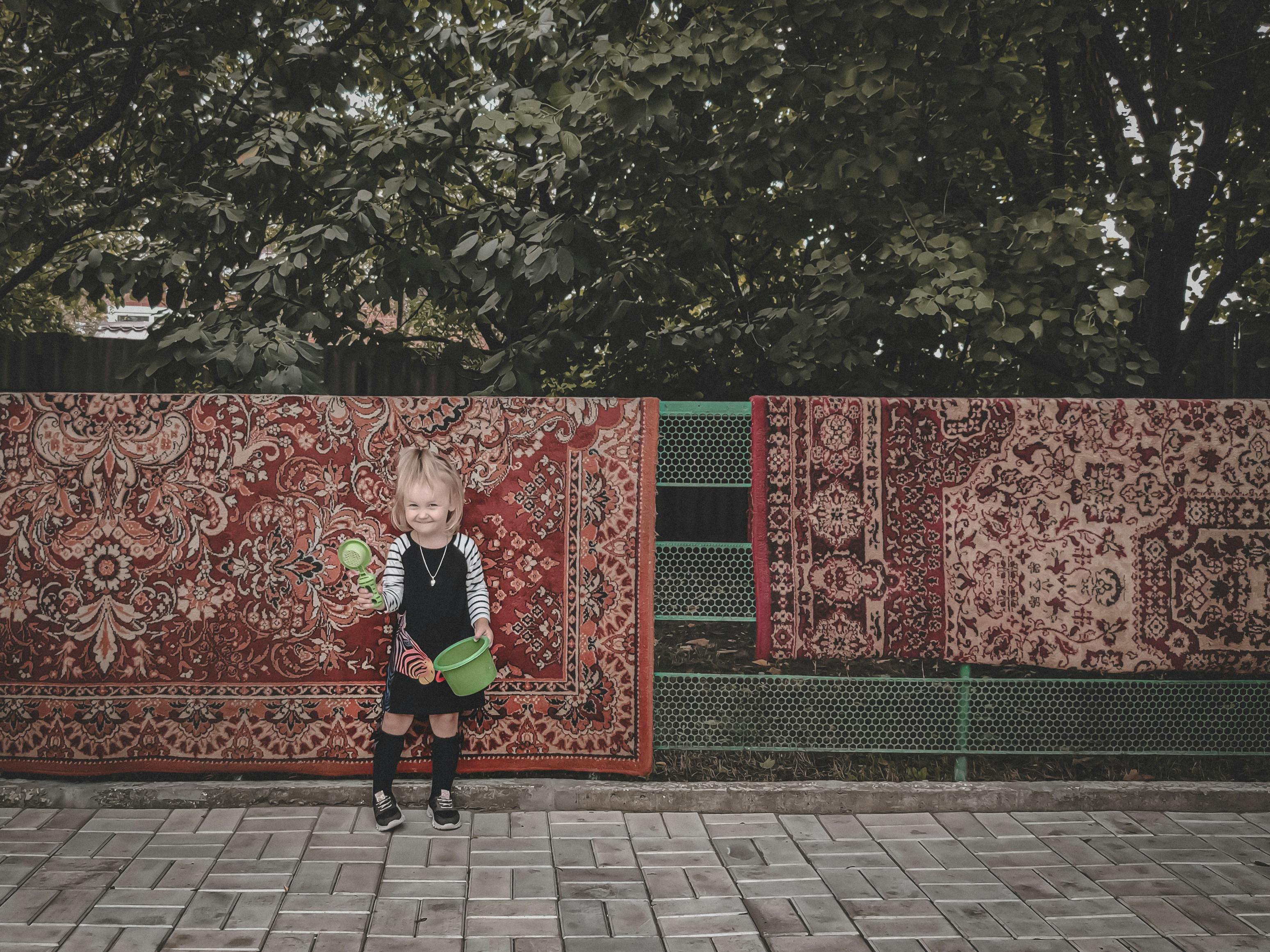 Red Carpet Fence Photos, Download The BEST Free Red Carpet Fence Stock ...