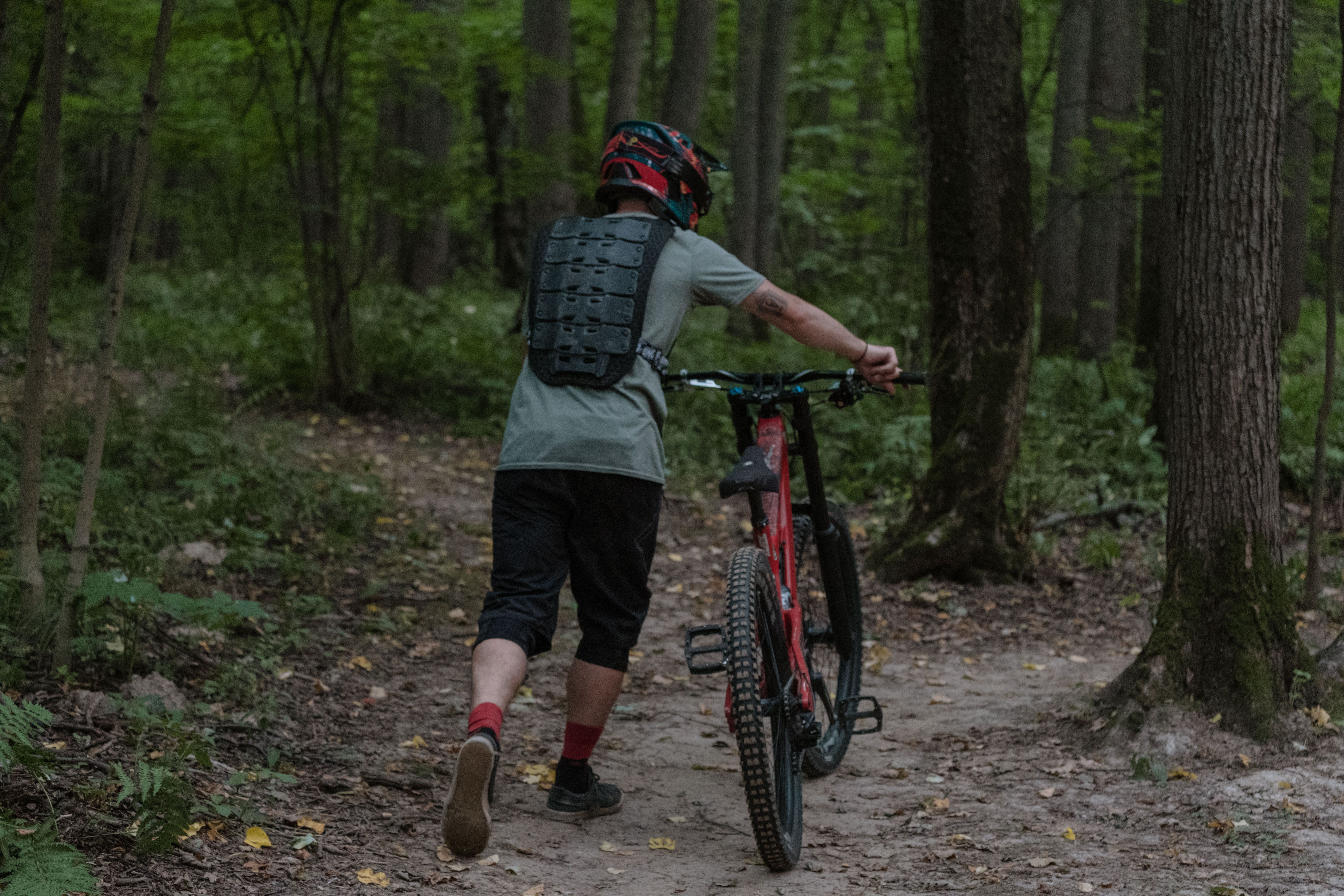 Back View of a Man Walking with His Red and Black Bicycle · Free Stock ...