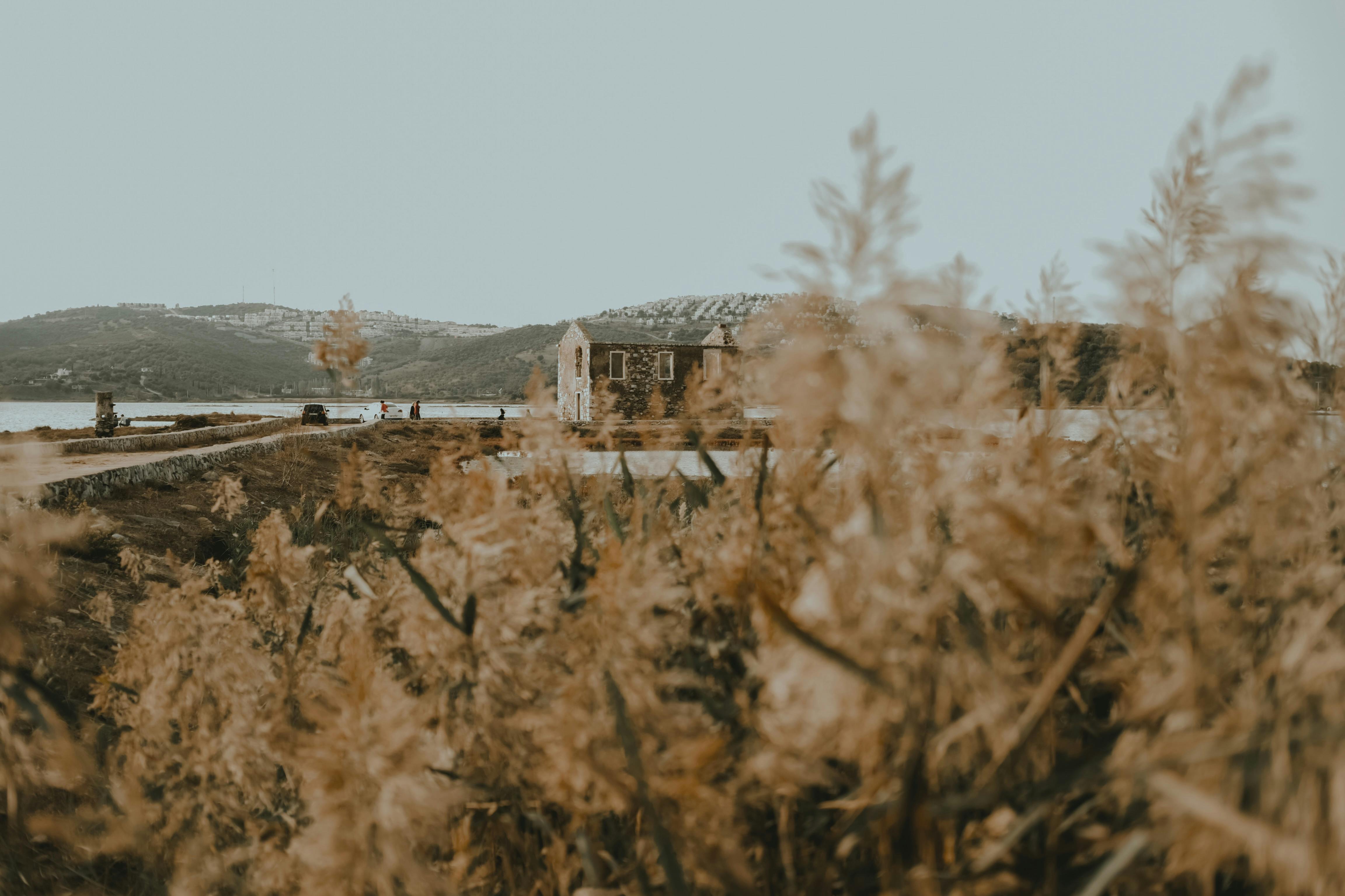 Seaside in Autumn · Free Stock Photo