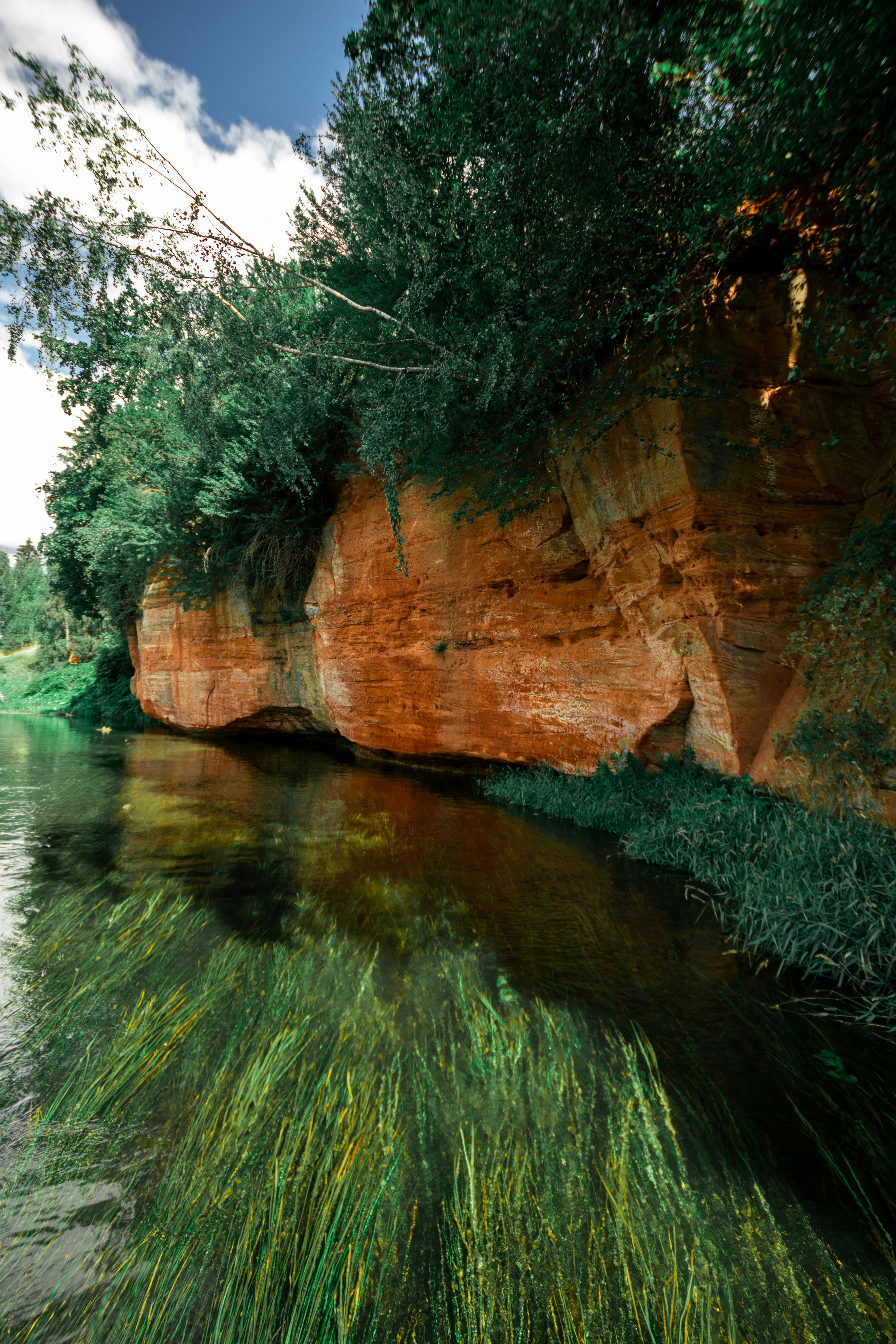 River Flowing in Green Nature Landscape · Free Stock Photo