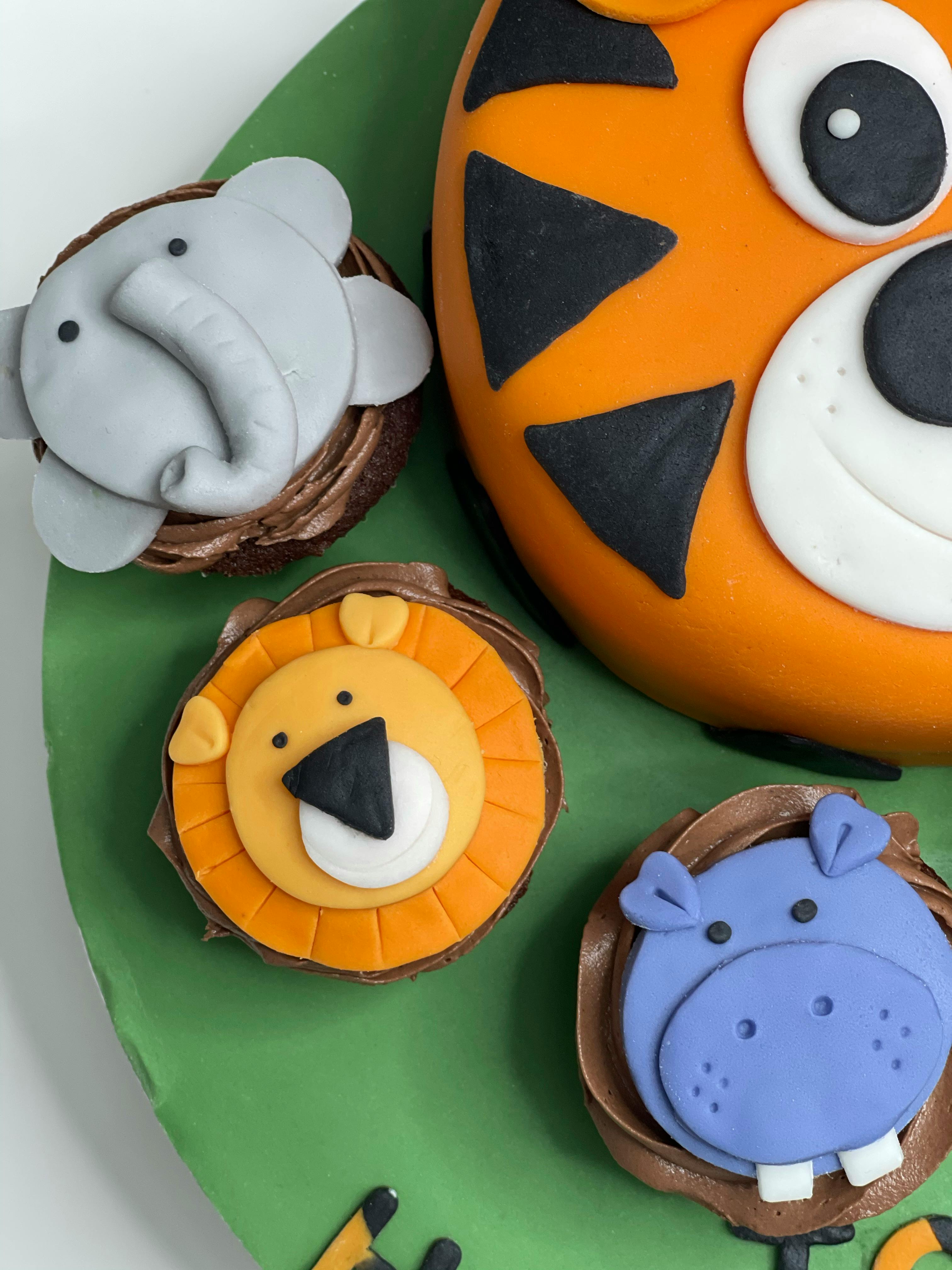 Mandeep Sharma - Fotografía