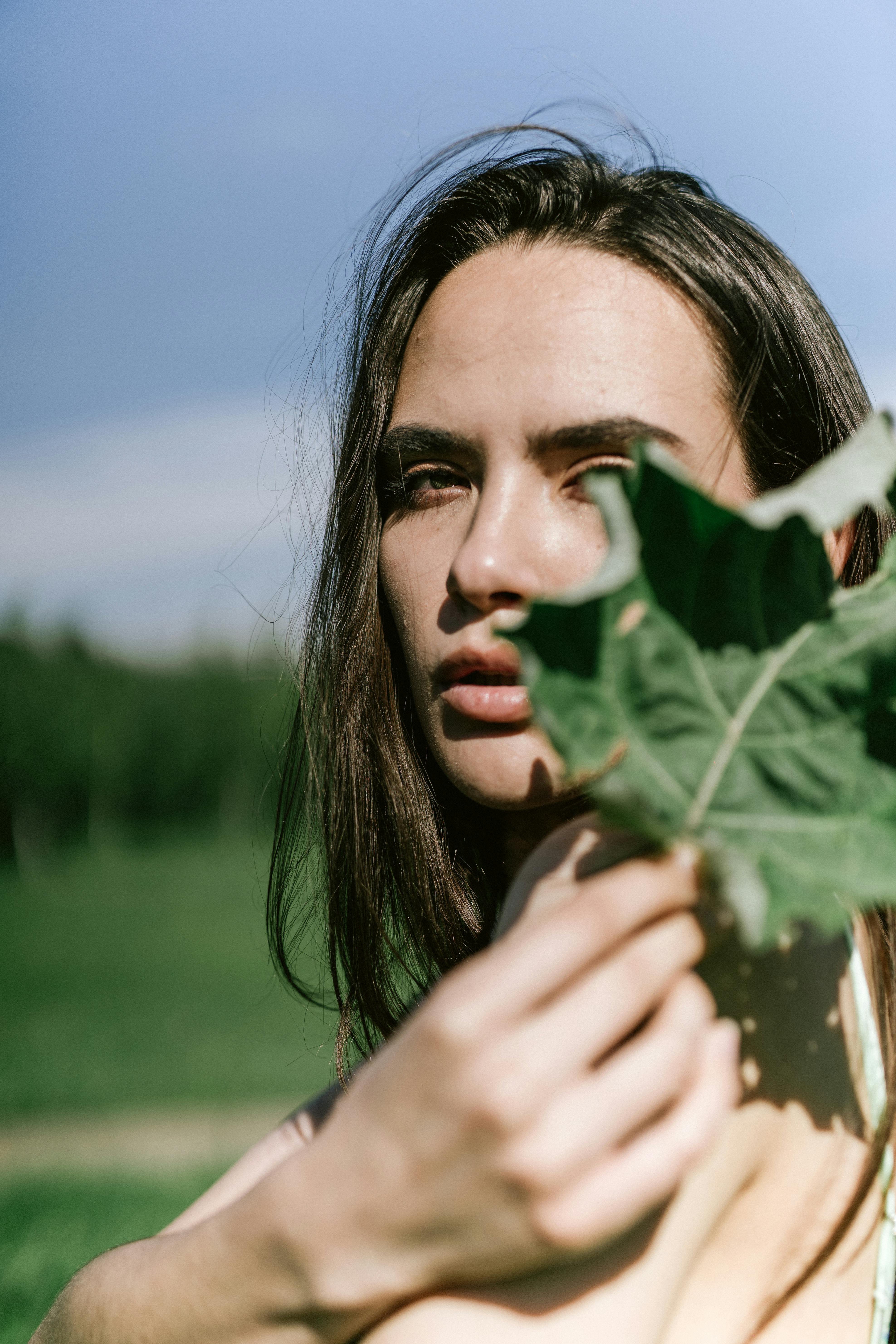 Leap Leaf Photos, Download Free Leap Leaf Stock Photos & HD Images