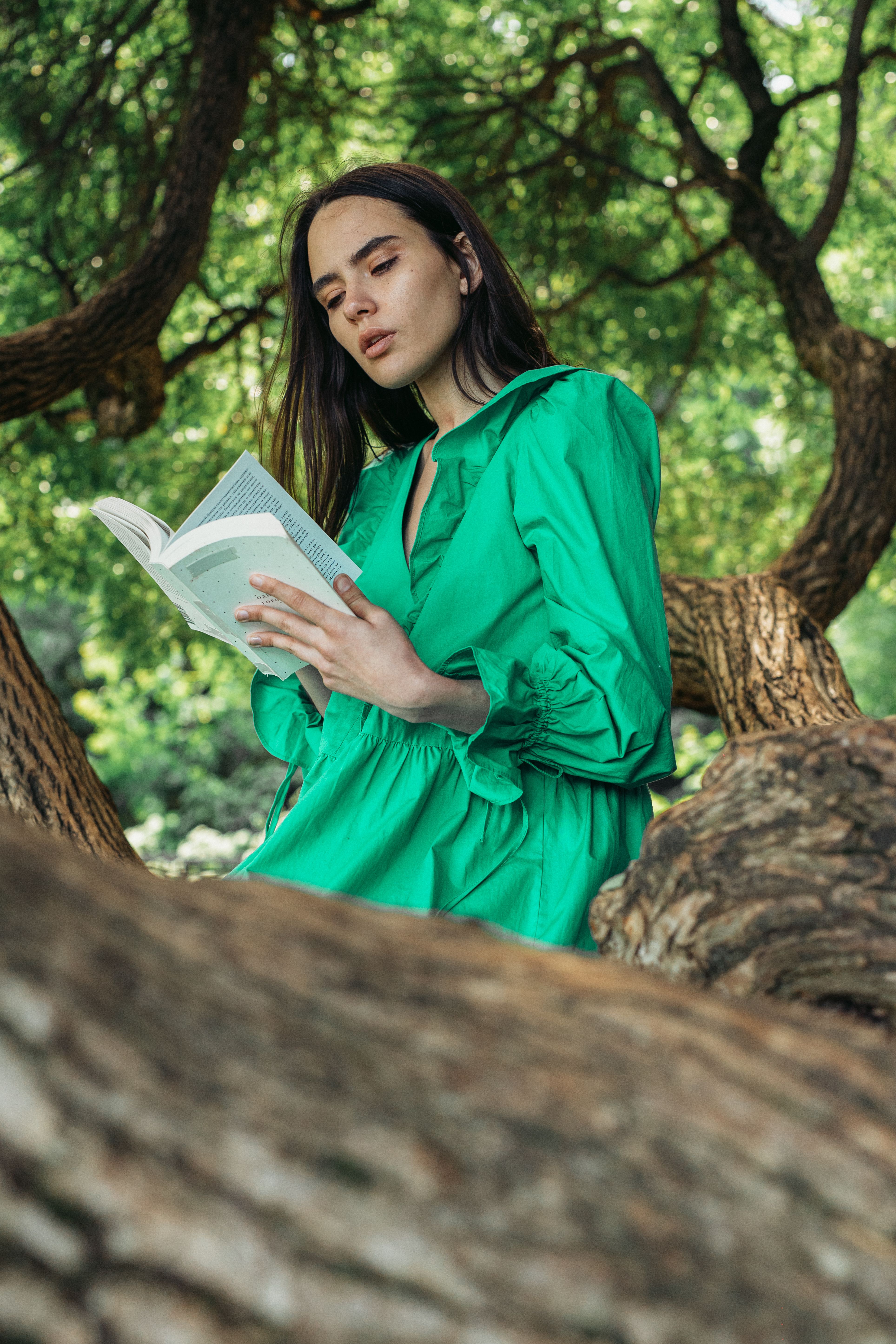 Woman in Green Long Sleeve Dress Leaning on a Tree Branch and Reading a ...