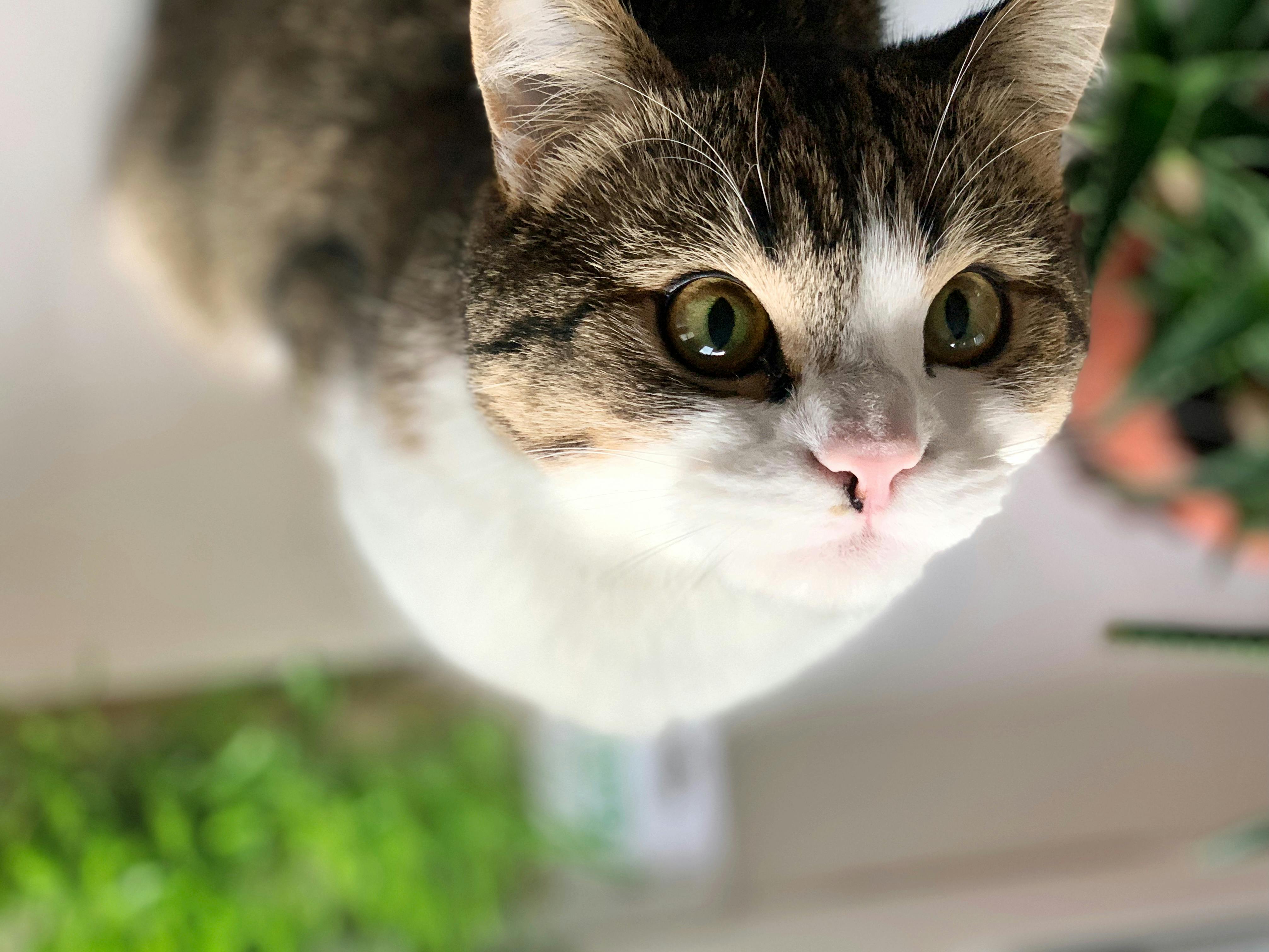 Don VLAD – Fotografie