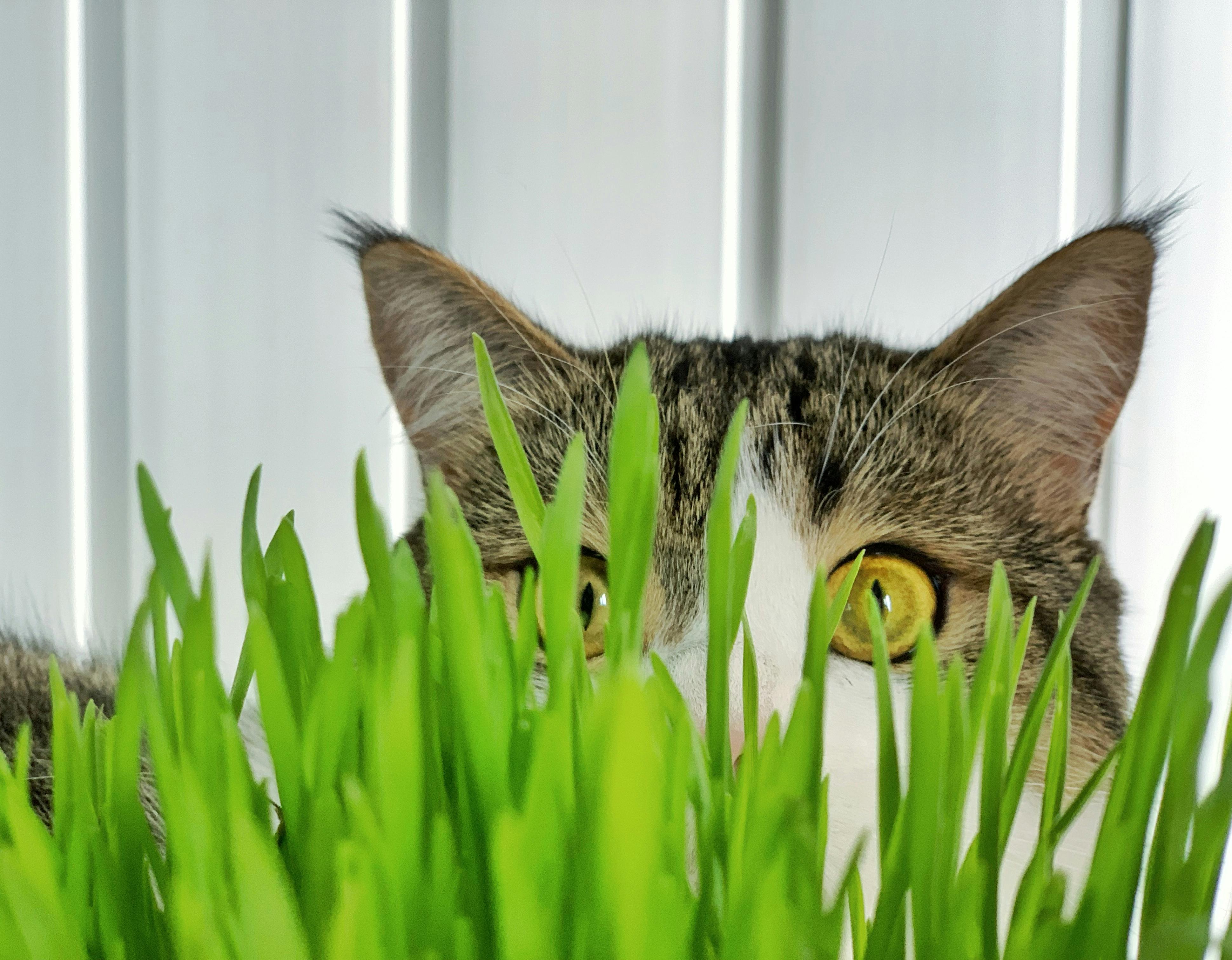 Don VLAD – Fotografie