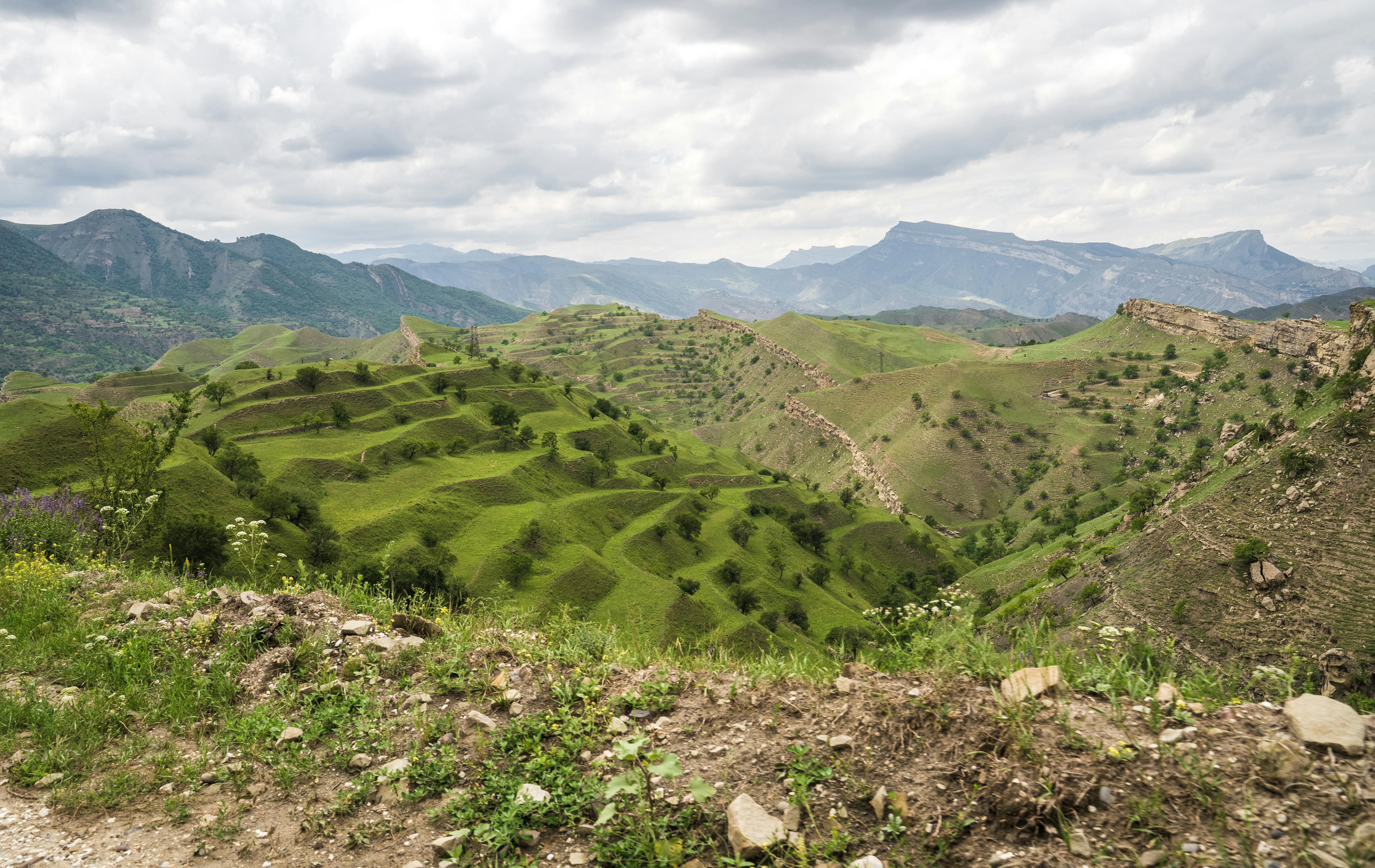 Humid Continental Climate Photos, Download The BEST Free Humid ...