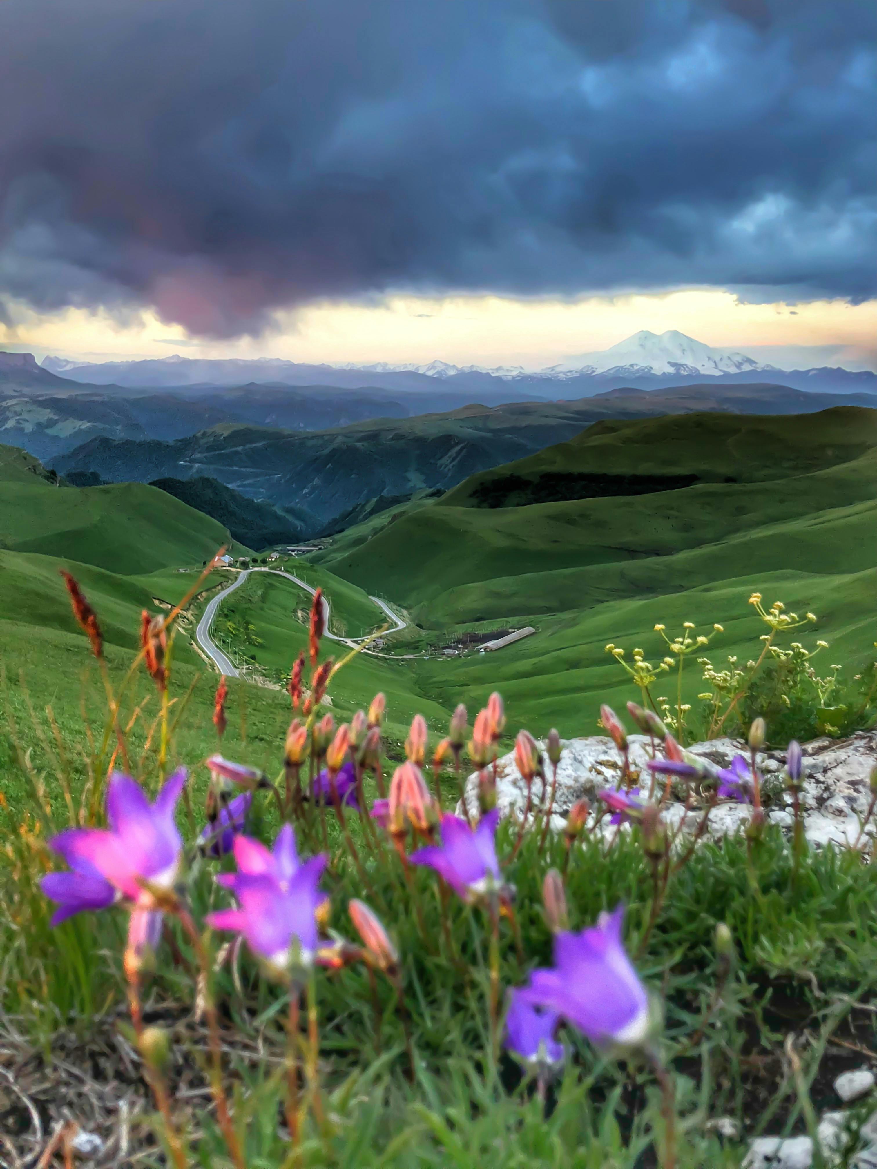 May Backgrounds Field Flowers Hills Photos, Download The BEST Free May ...