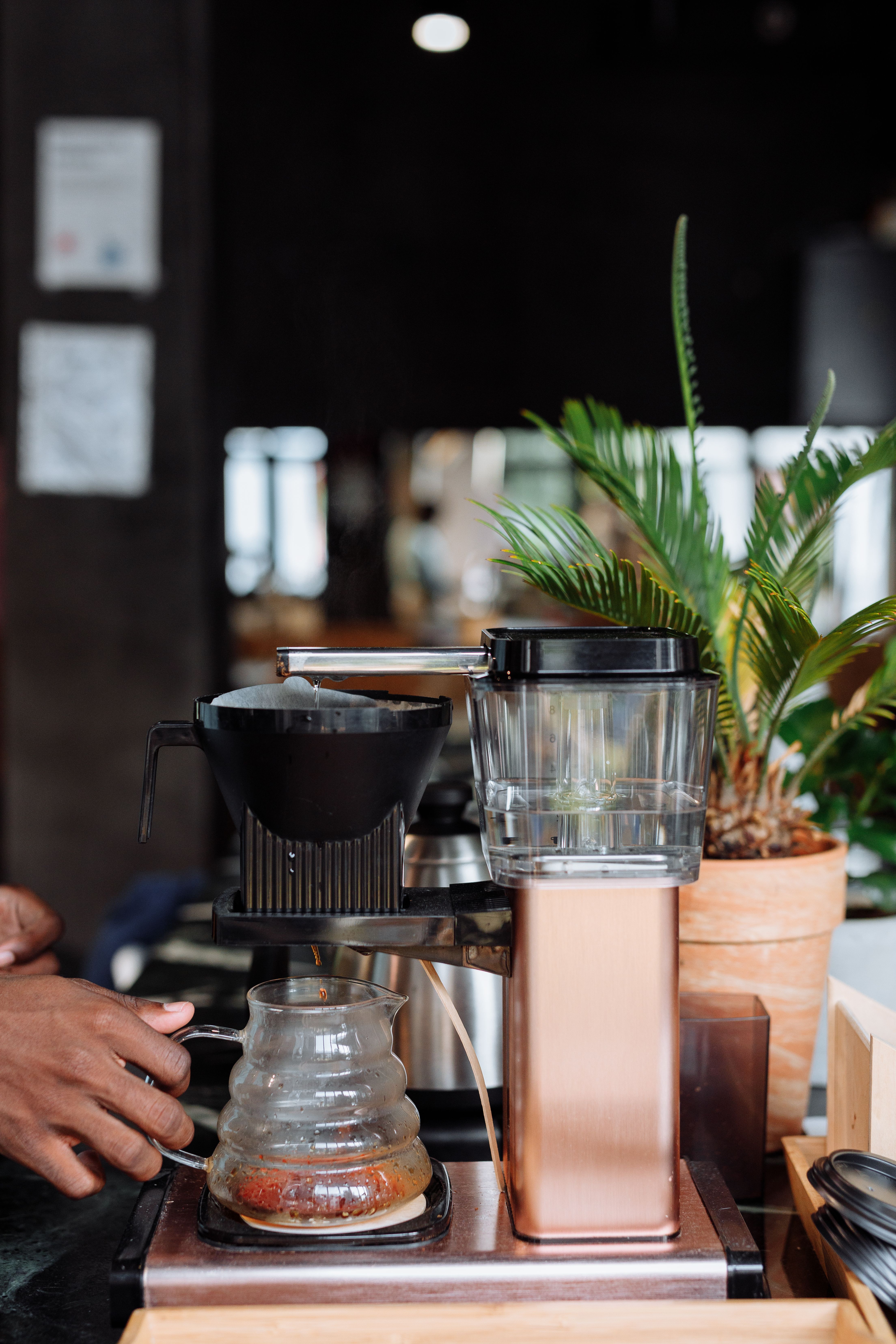 A Person Brewing Coffee · Free Stock Photo
