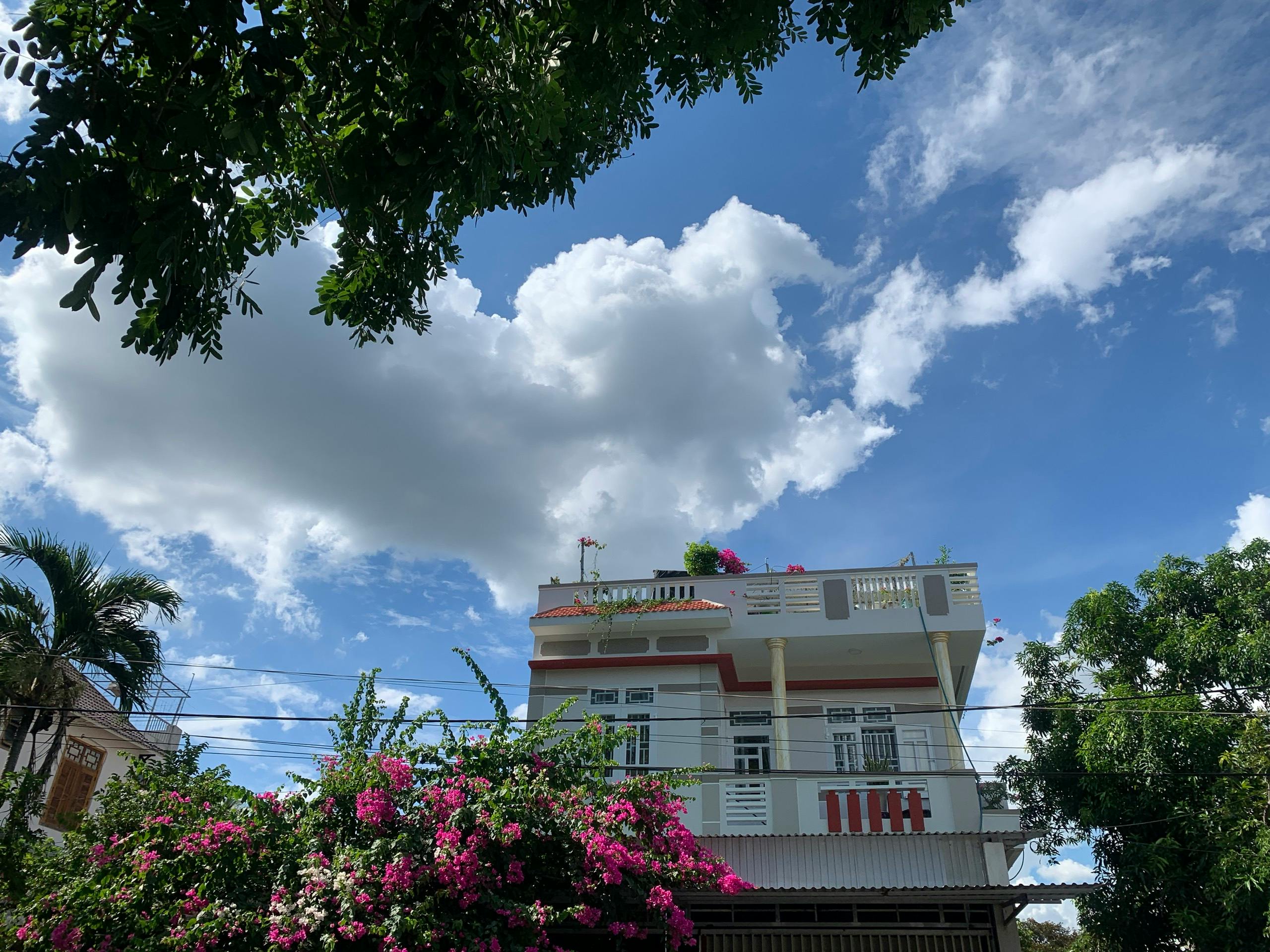 Ethan Nguyen - 写真