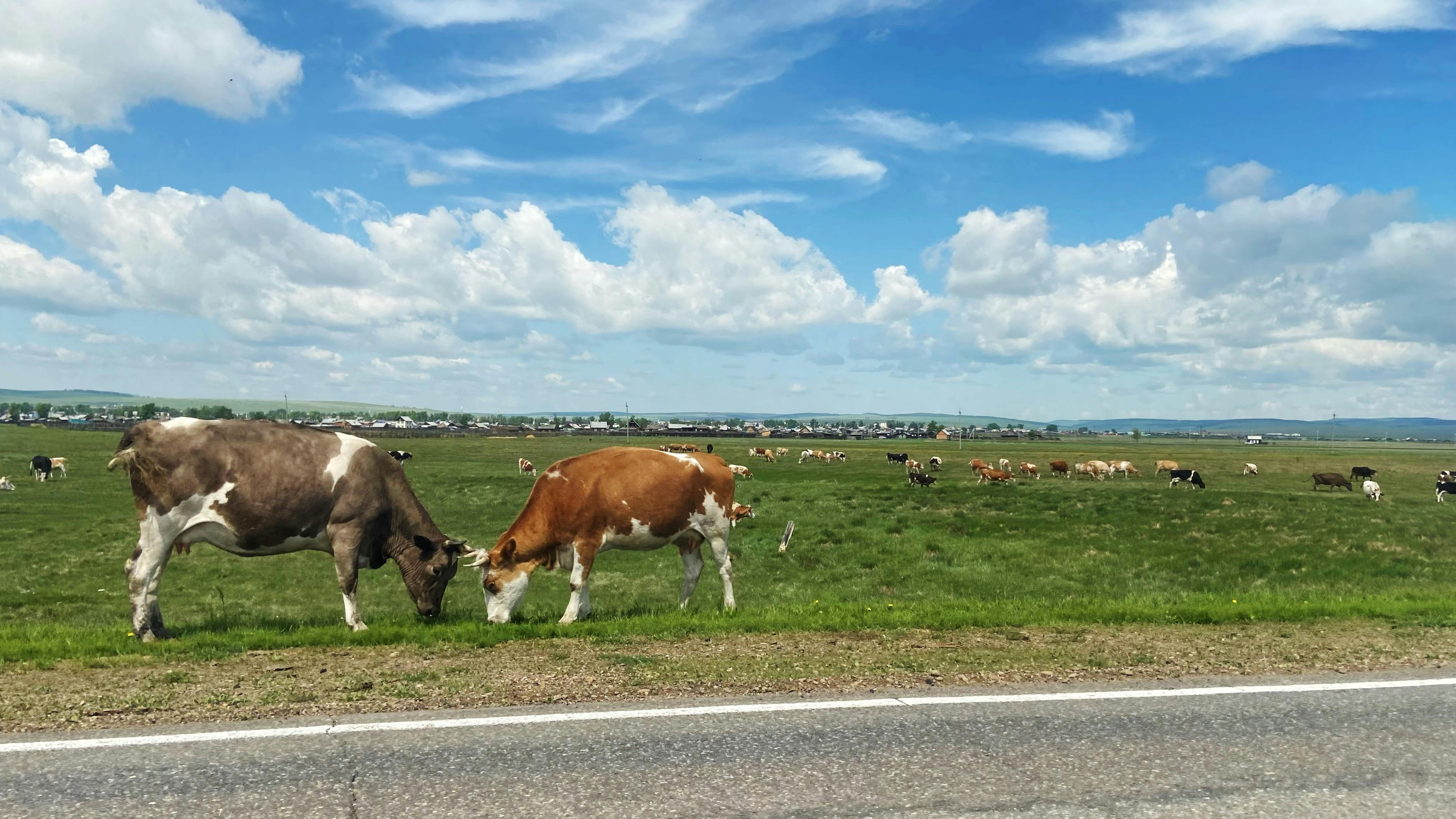 Maxim Doroshenko - Fotografía