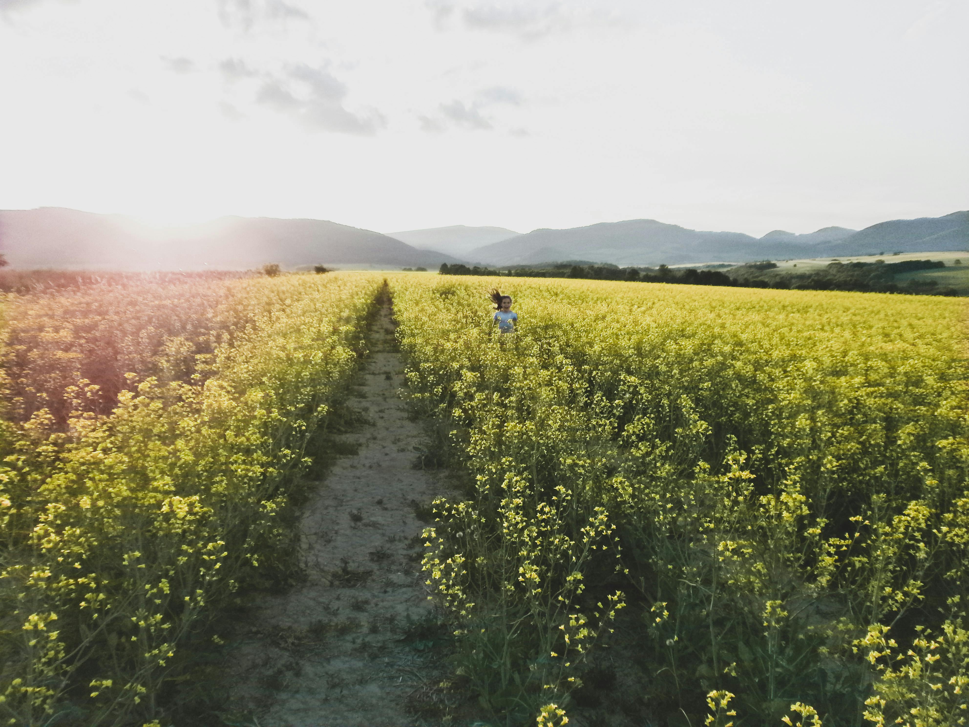 A Person Running on the Flower Field · Free Stock Photo